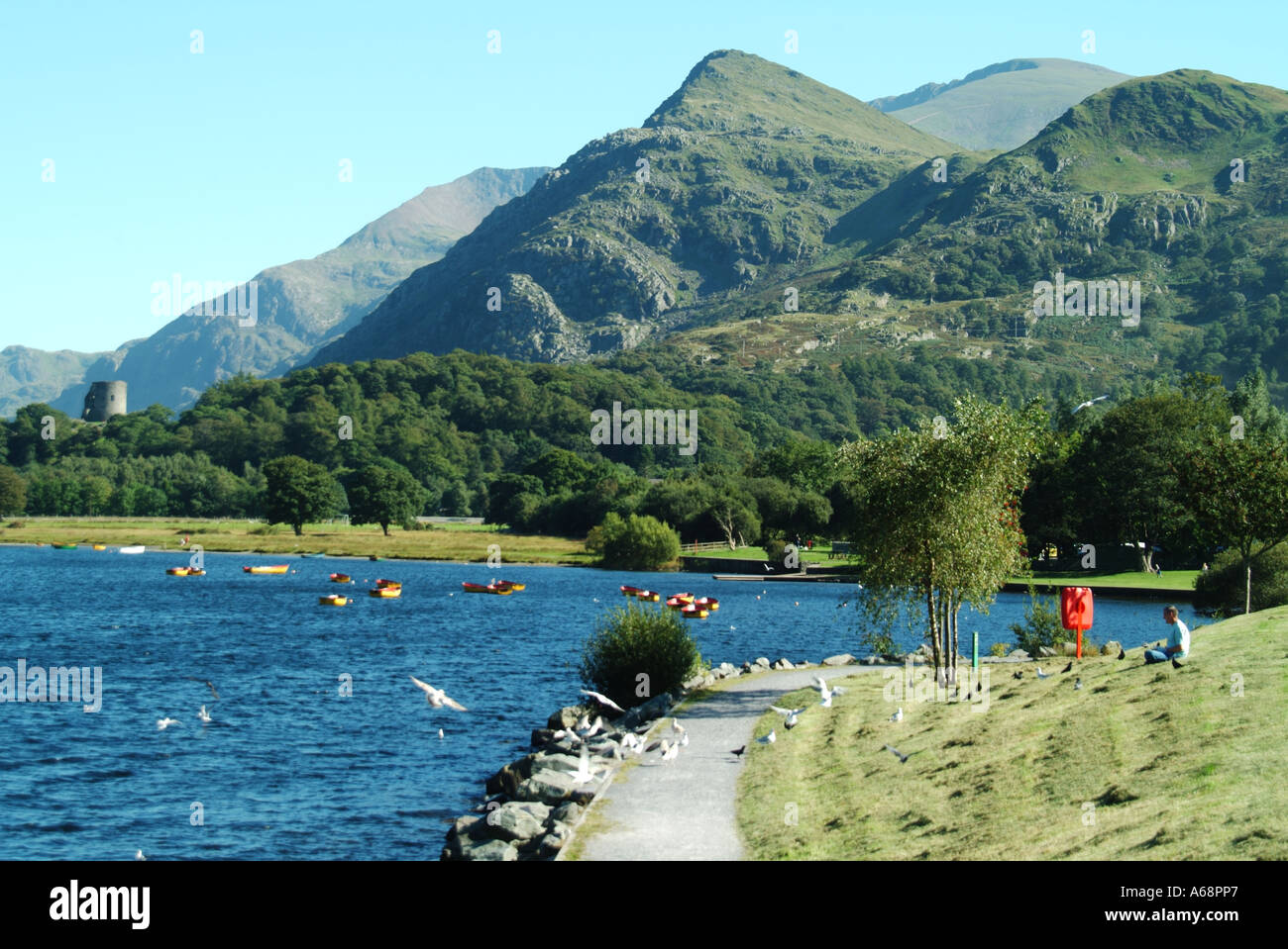 Llyn Padarn a moraine dammed glacially formed lake with rowing boats ...
