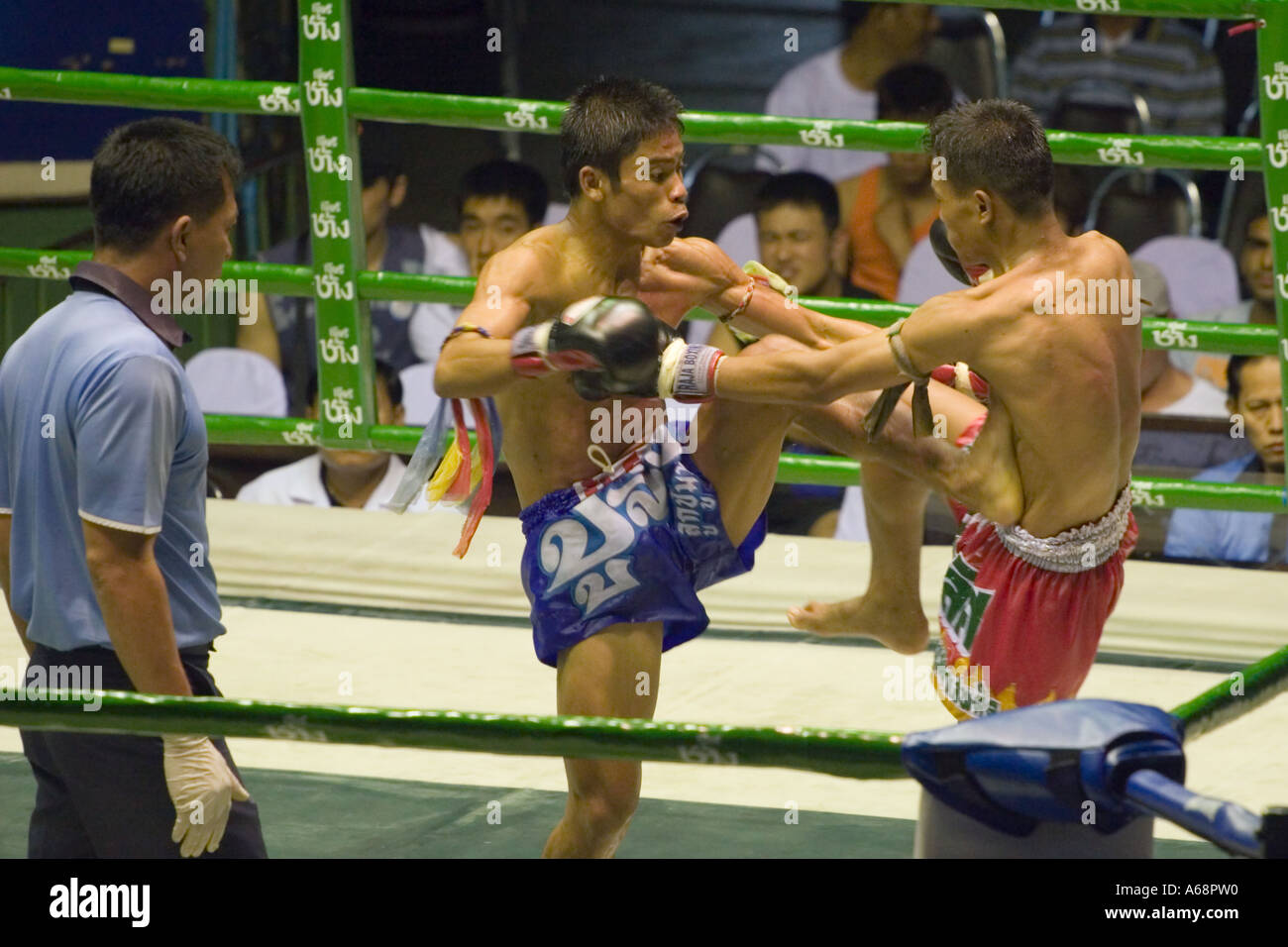 Kick to stomach during a Muay Thai fight (Rajadamnern stadium, Bangkok ...