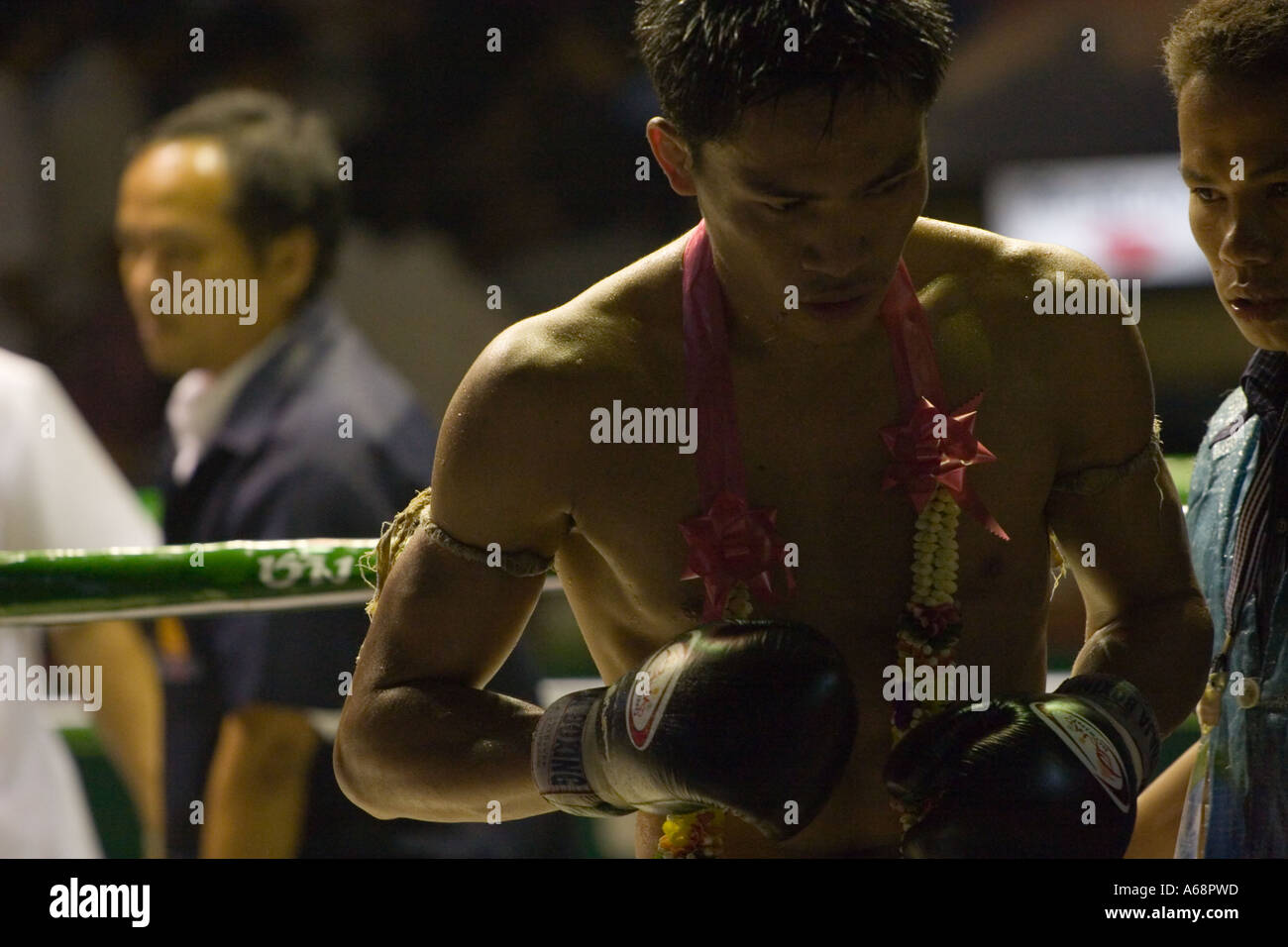 Muay Thai - Fighter Portrait Stock Photo - Alamy