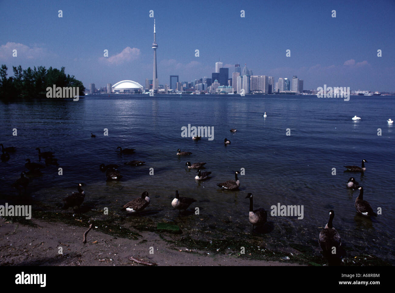 Skyline of Toronto from Toronto Islands. Ontario. Canada Stock Photo ...