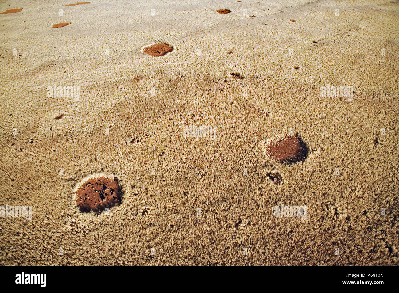 Aerial view of fairy circles in Namib desert Namibia Stock Photo - Alamy