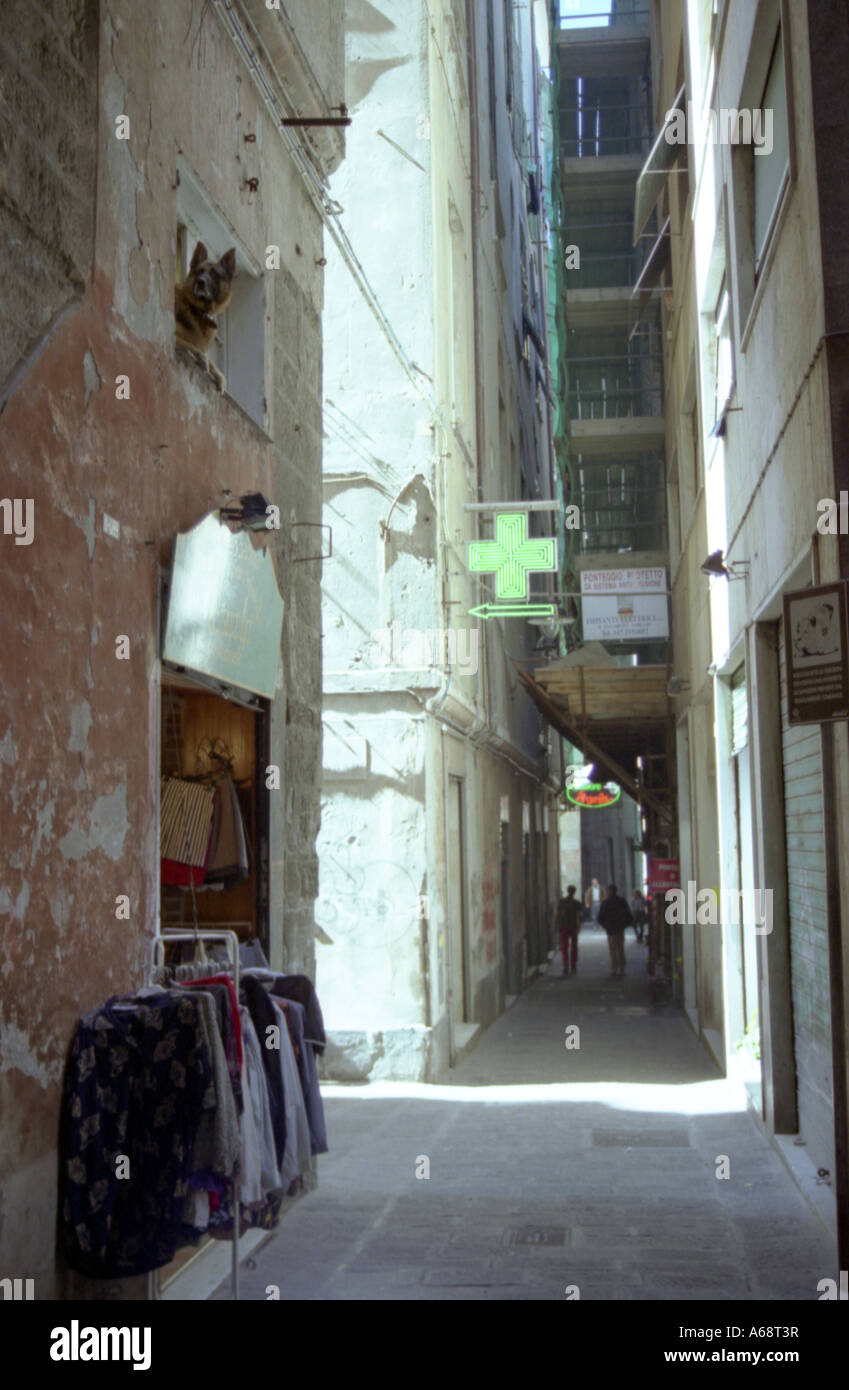 Oldtown Genoa street in the day Stock Photo - Alamy