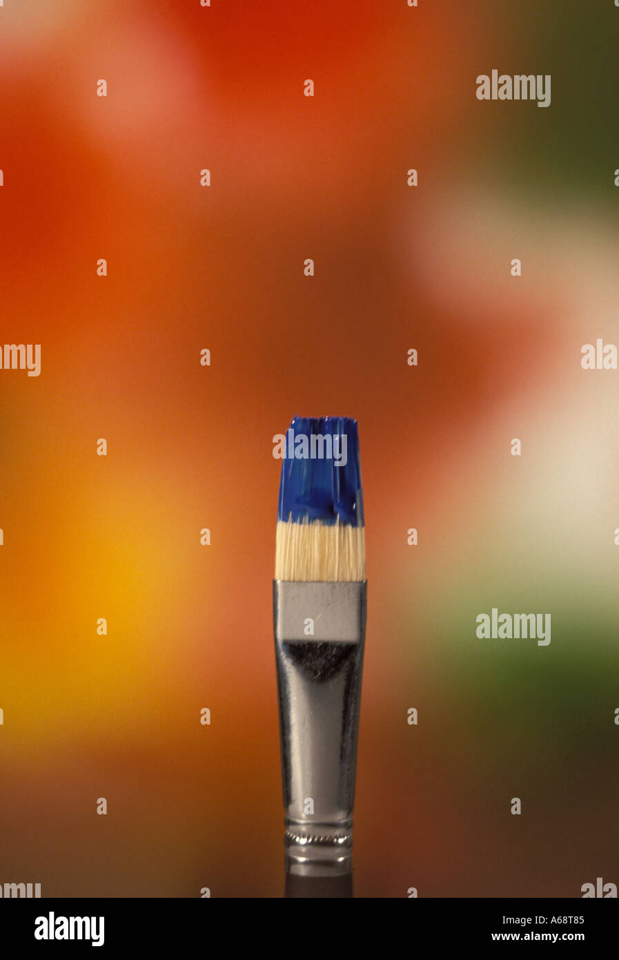 Brush with paint Stock Photo - Alamy