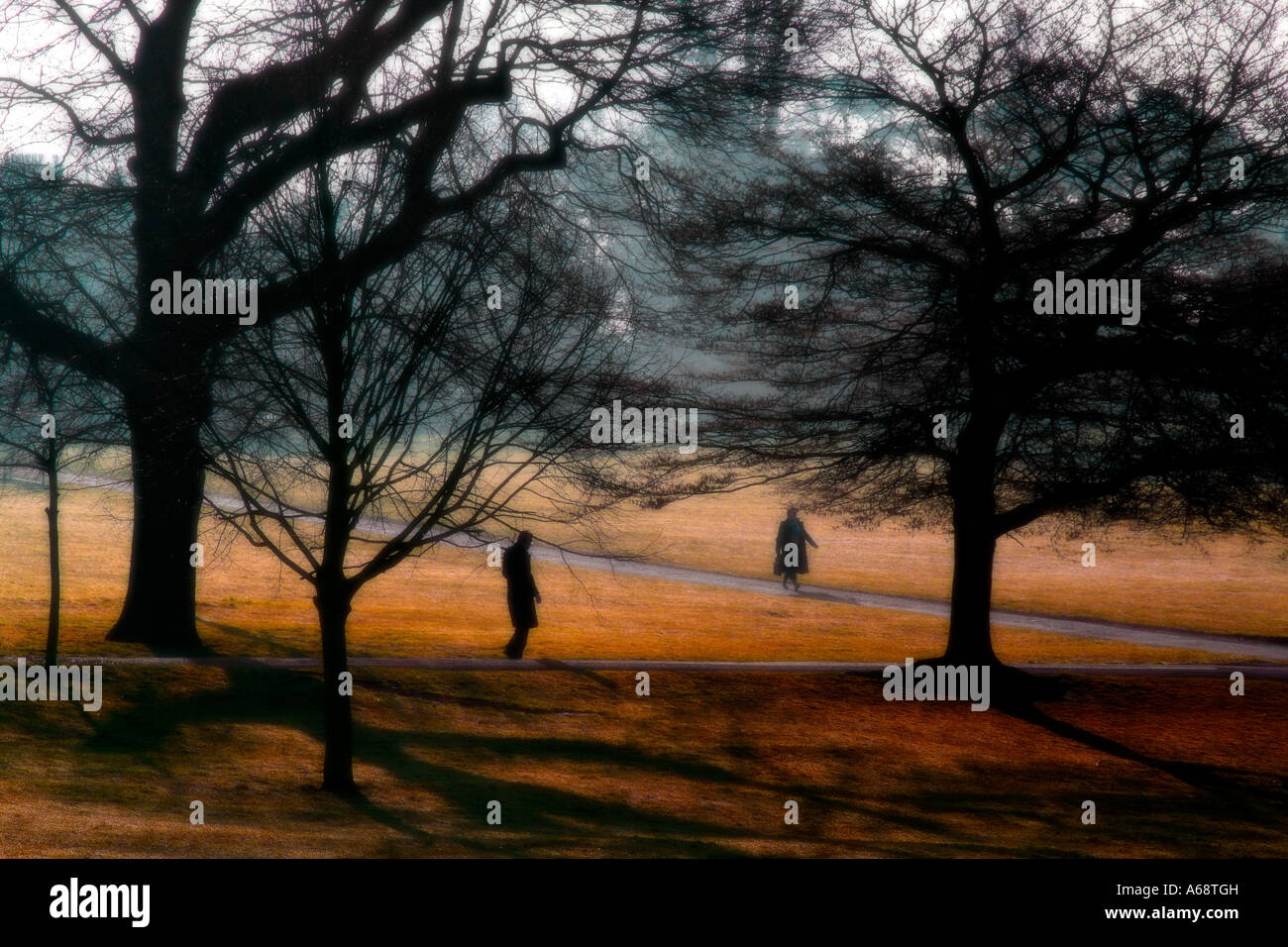 Two figures walk in an English Park Suffolk UK (Diffused Image Stock ...