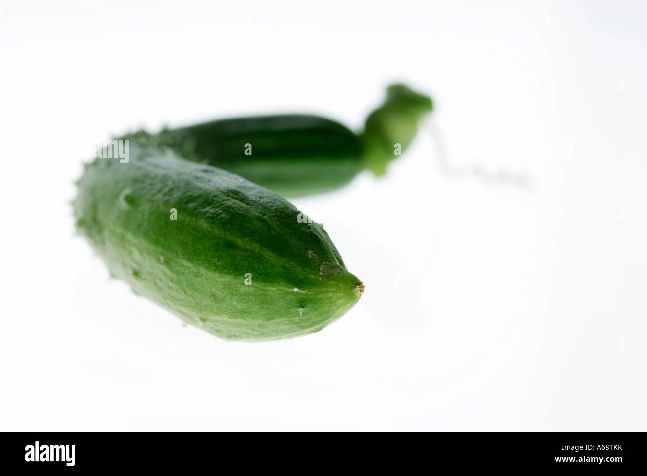 Cucumber close up Stock Photo - Alamy