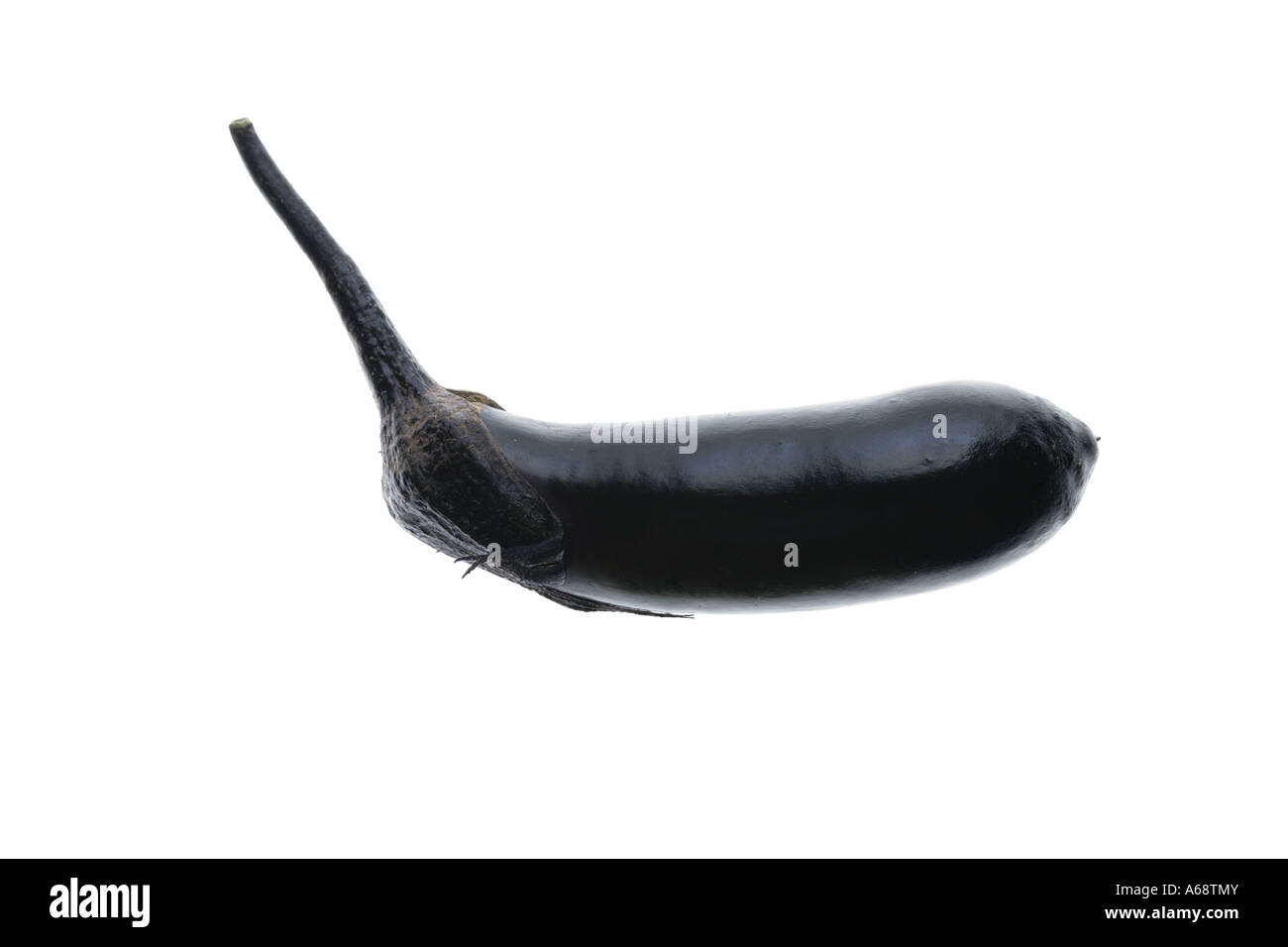 Long brinjal Cut Out Stock Images & Pictures - Alamy