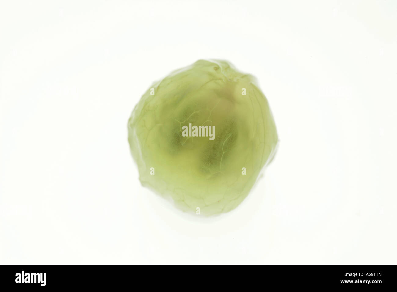A peeled grape Stock Photo - Alamy