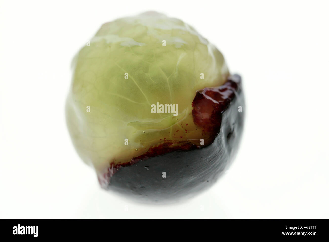 A single grape peeled Stock Photo - Alamy