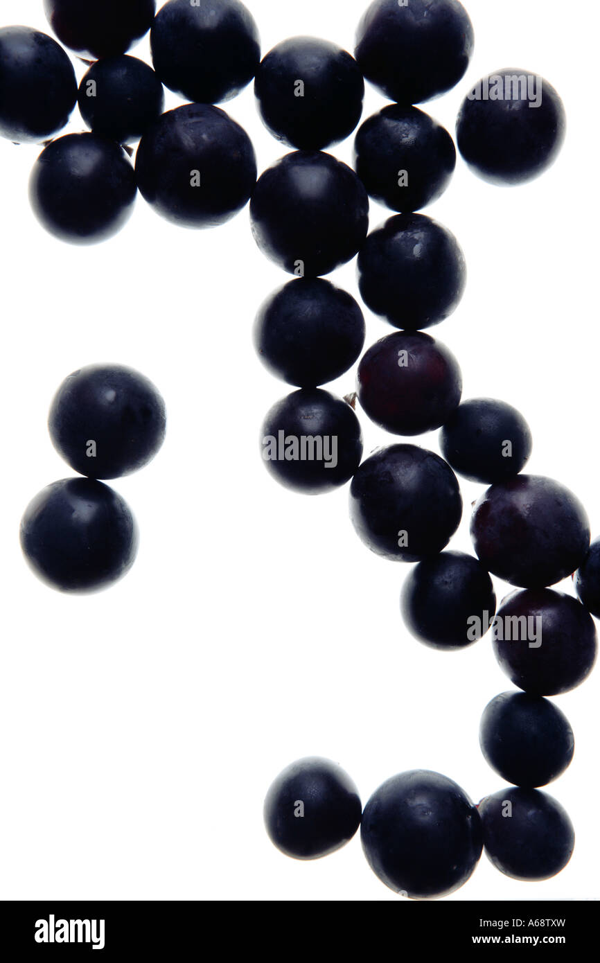 Individual grapes on white background Stock Photo - Alamy