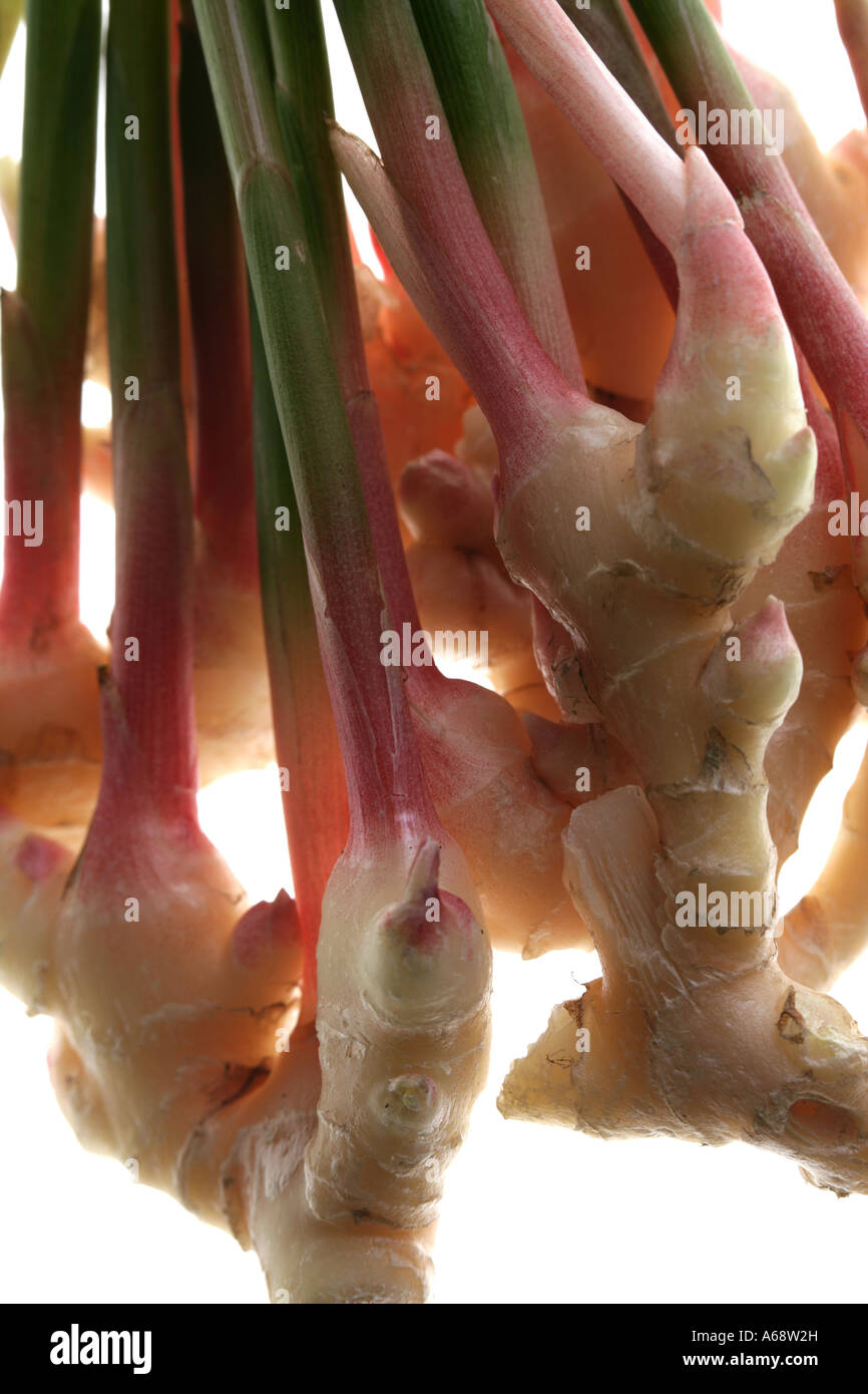 Heap of ginger close up Stock Photo - Alamy