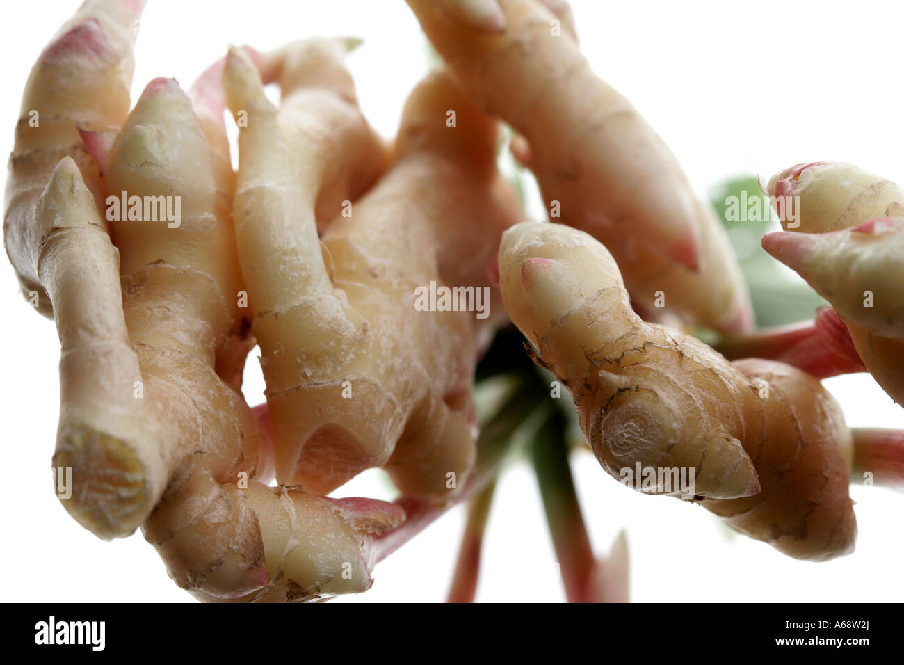 Heap of ginger close up Stock Photo - Alamy