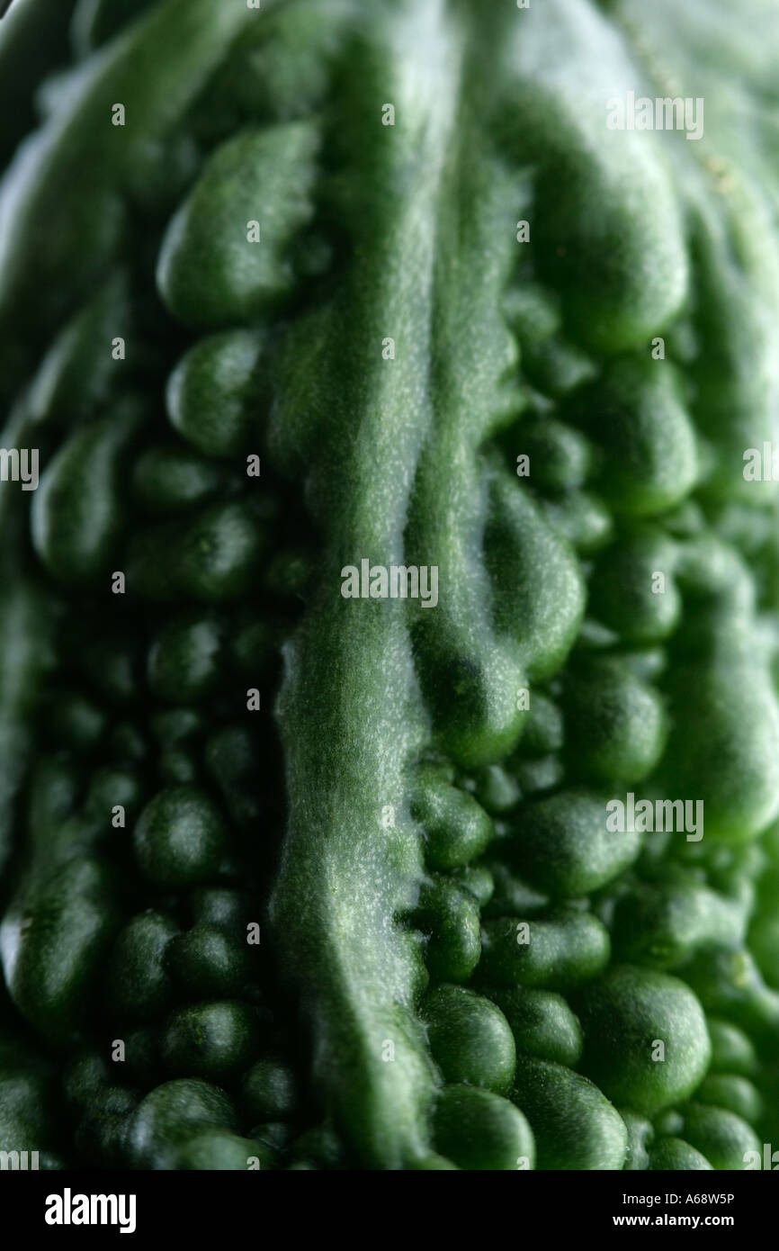 Bitter melon close up Stock Photo - Alamy