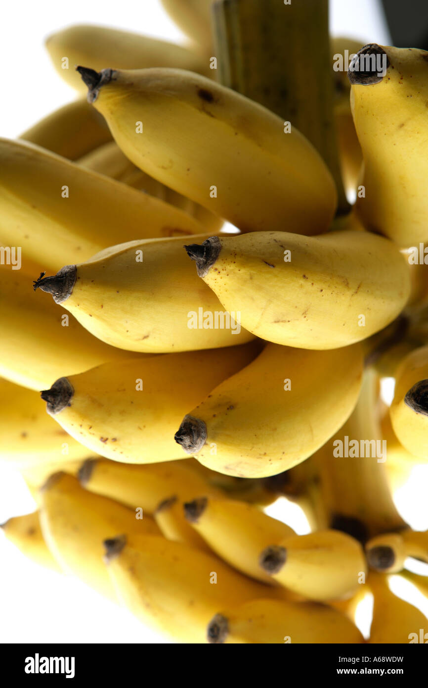 A Bunch of Bananas close up Stock Photo - Alamy