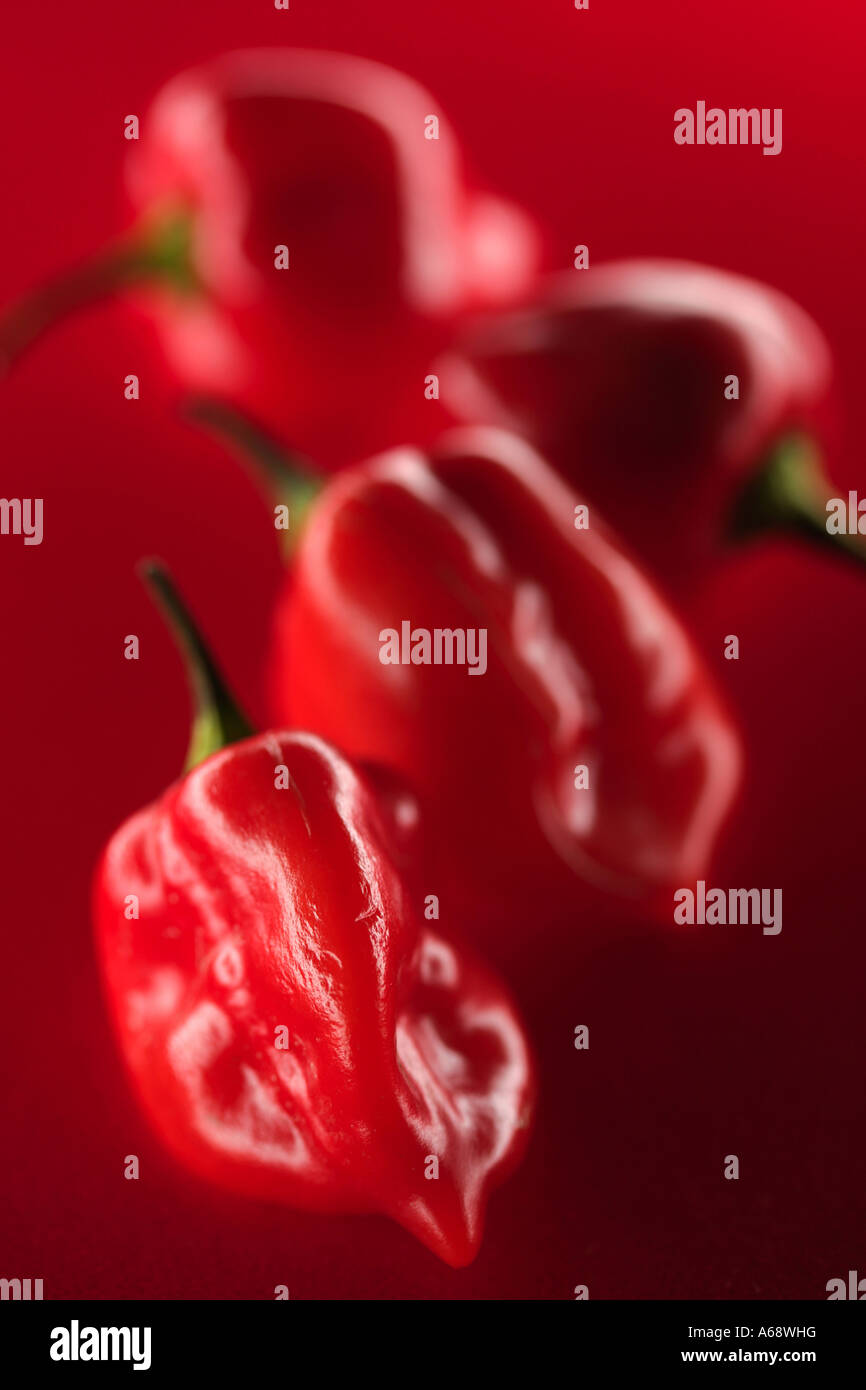 Red Chilli pepper Stock Photo - Alamy