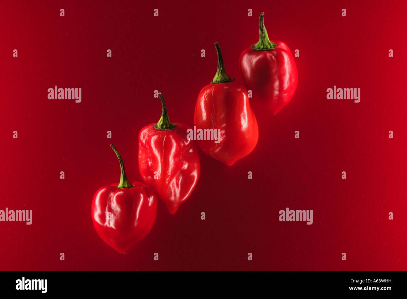 Four red chilli peppers Stock Photo - Alamy