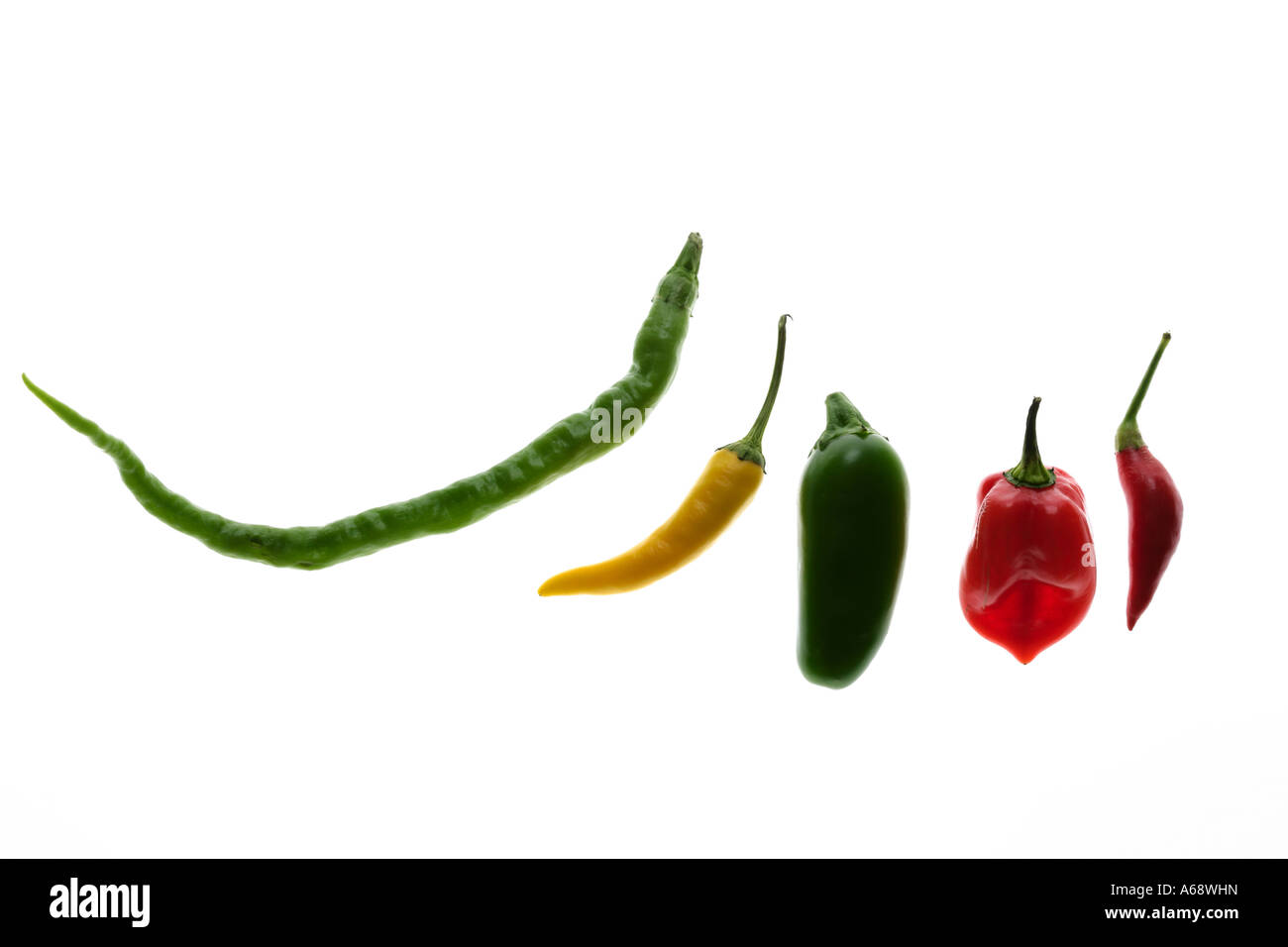 Assortment of chilli Stock Photo - Alamy
