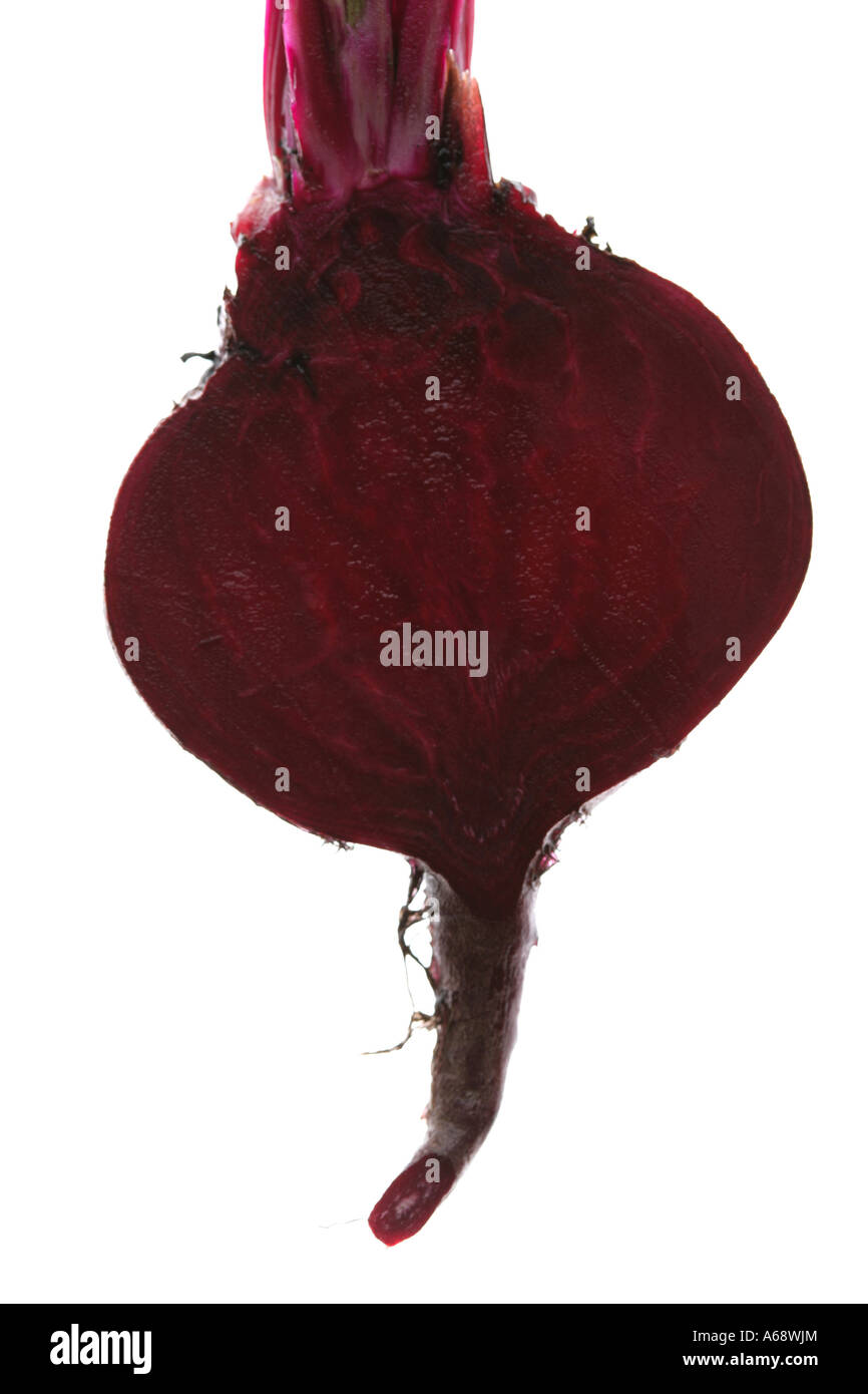 Turnip Cross section Stock Photo - Alamy