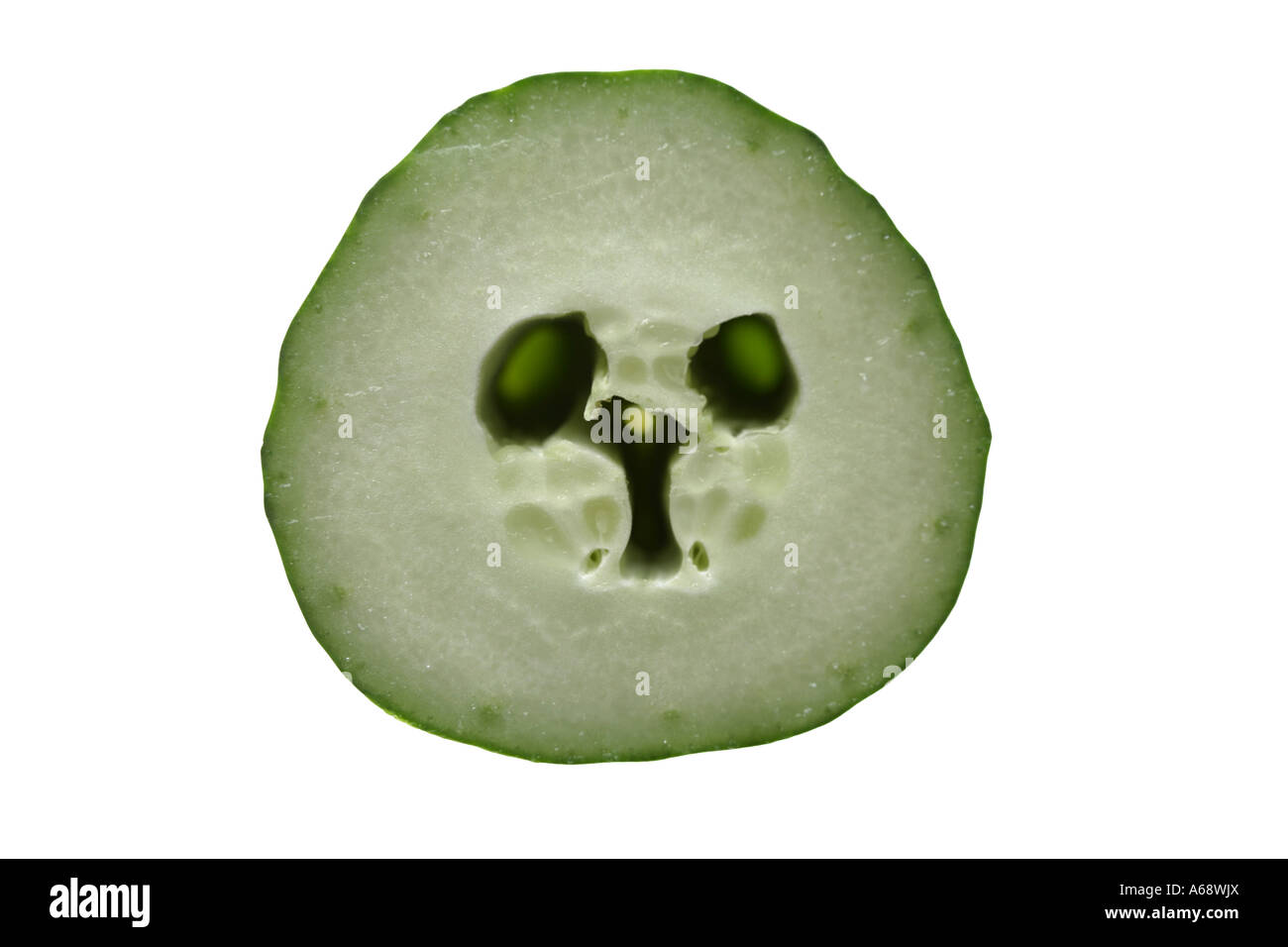 Cucumber Cross section Stock Photo - Alamy