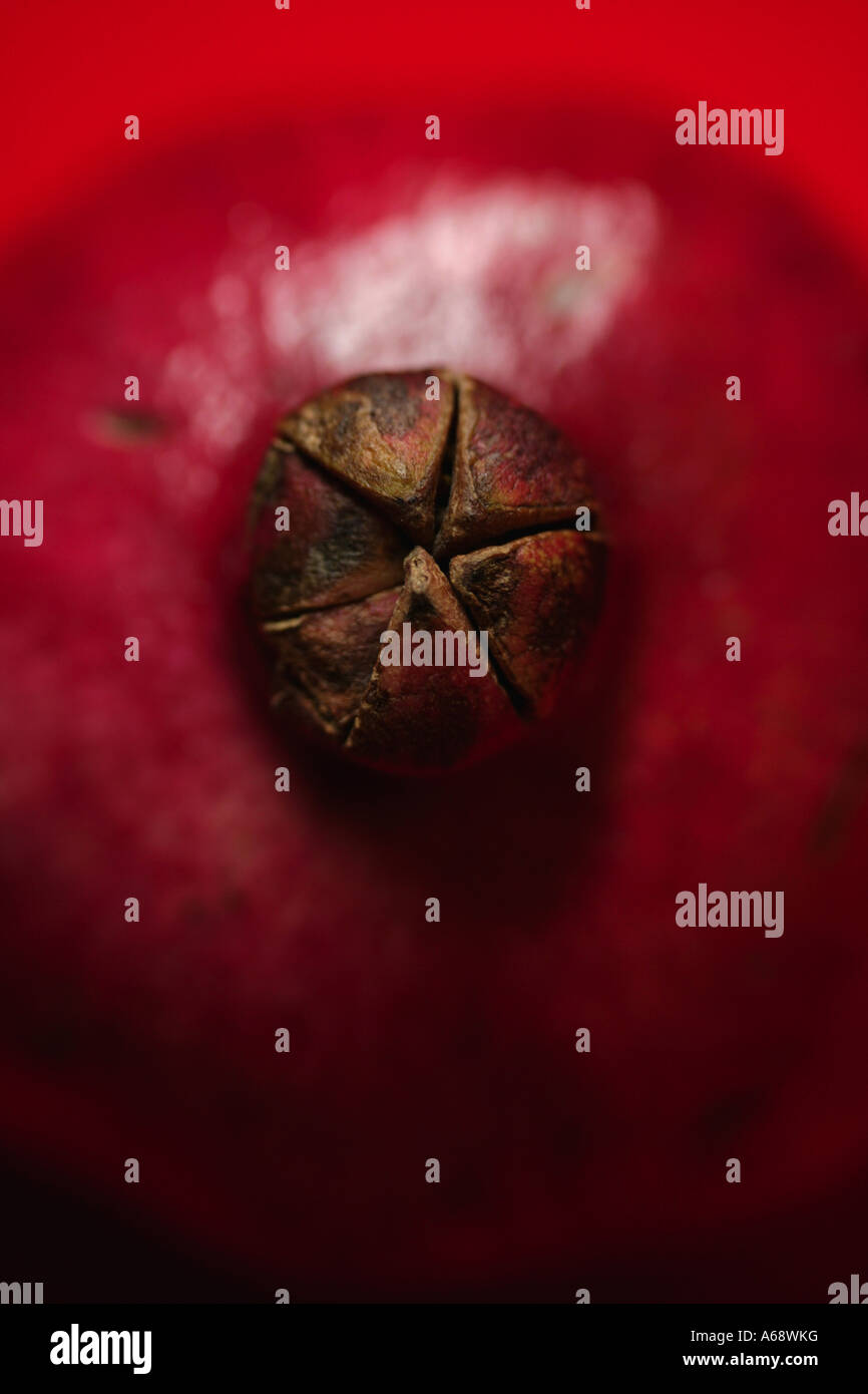 Pomegranate close up Stock Photo - Alamy
