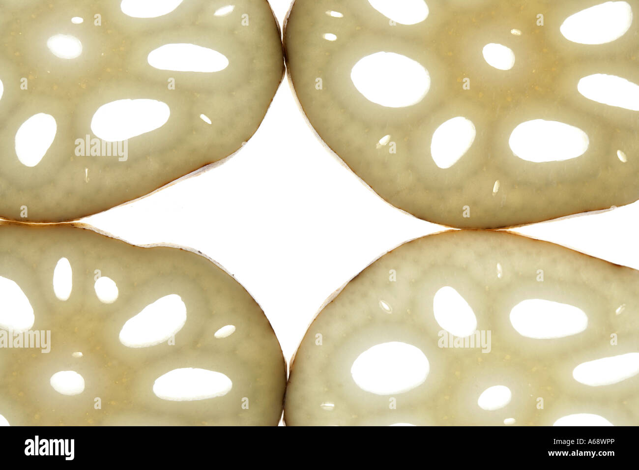 Lotus root sliced Stock Photo - Alamy