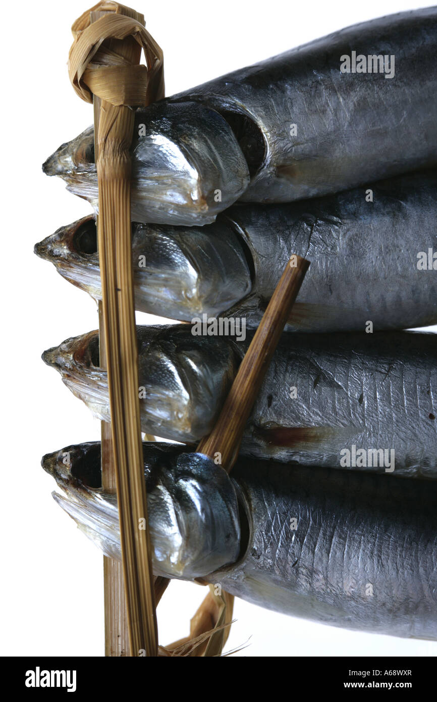 Four fish close up Stock Photo - Alamy