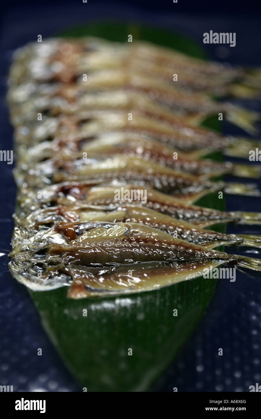 A row of fish on a leaf Stock Photo - Alamy