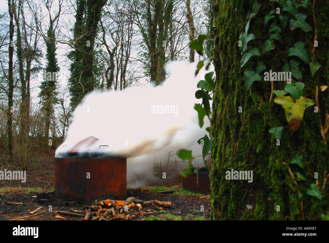 Smoke pouring from a charcoal kiln Devon UK Stock Photo - Alamy