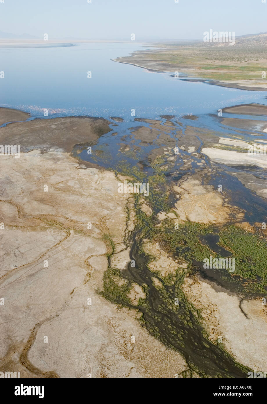 Aerial view of a river estuary at Lake Natron in Tanzania Stock Photo ...