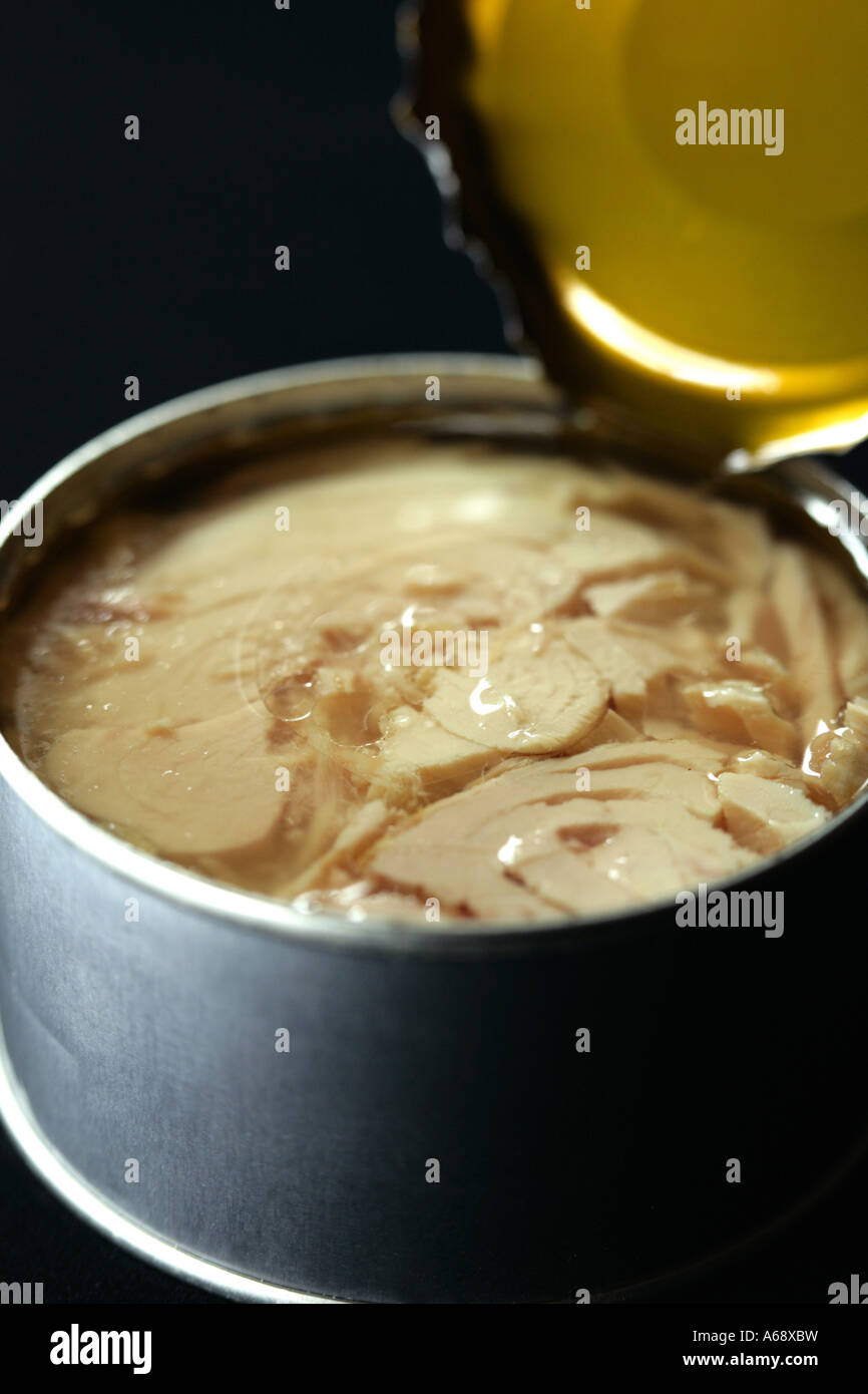 A can of tuna Stock Photo - Alamy