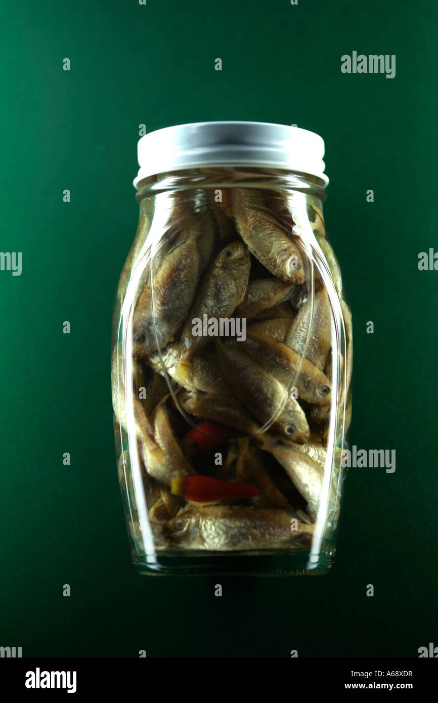 Fish in a bottle Stock Photo - Alamy