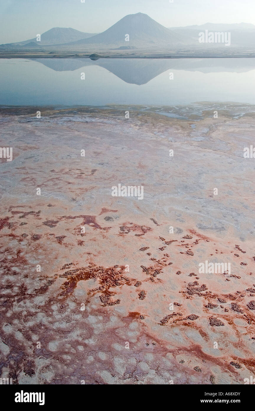 Aerial view of flamingo nests in Lake Natron, the volcano Ol Doinyo ...