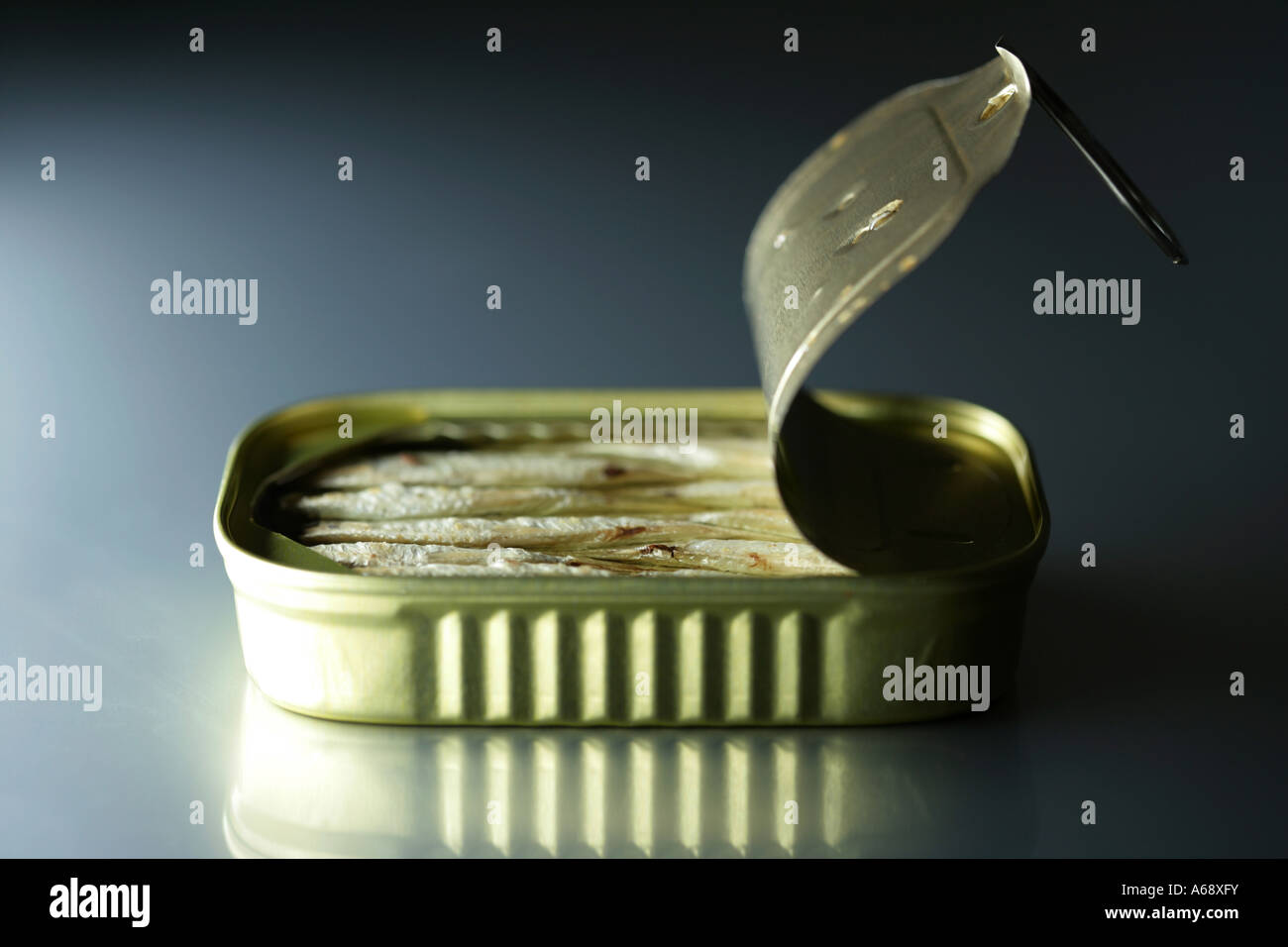 A tin of sardines side view Stock Photo - Alamy