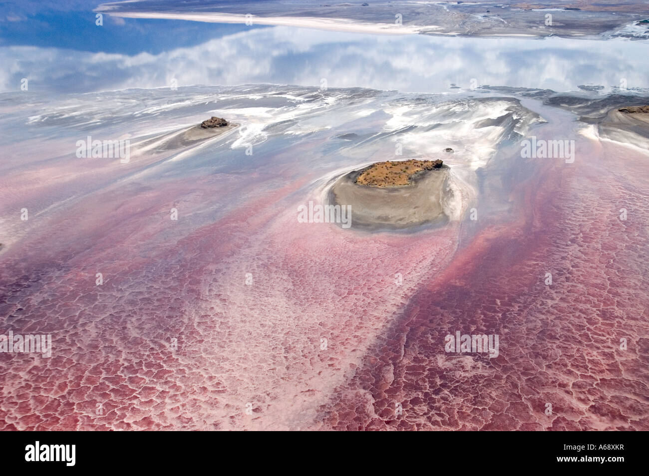 Lake Natron, Tanzania. Red pigment in the cyanobacteria produce the ...