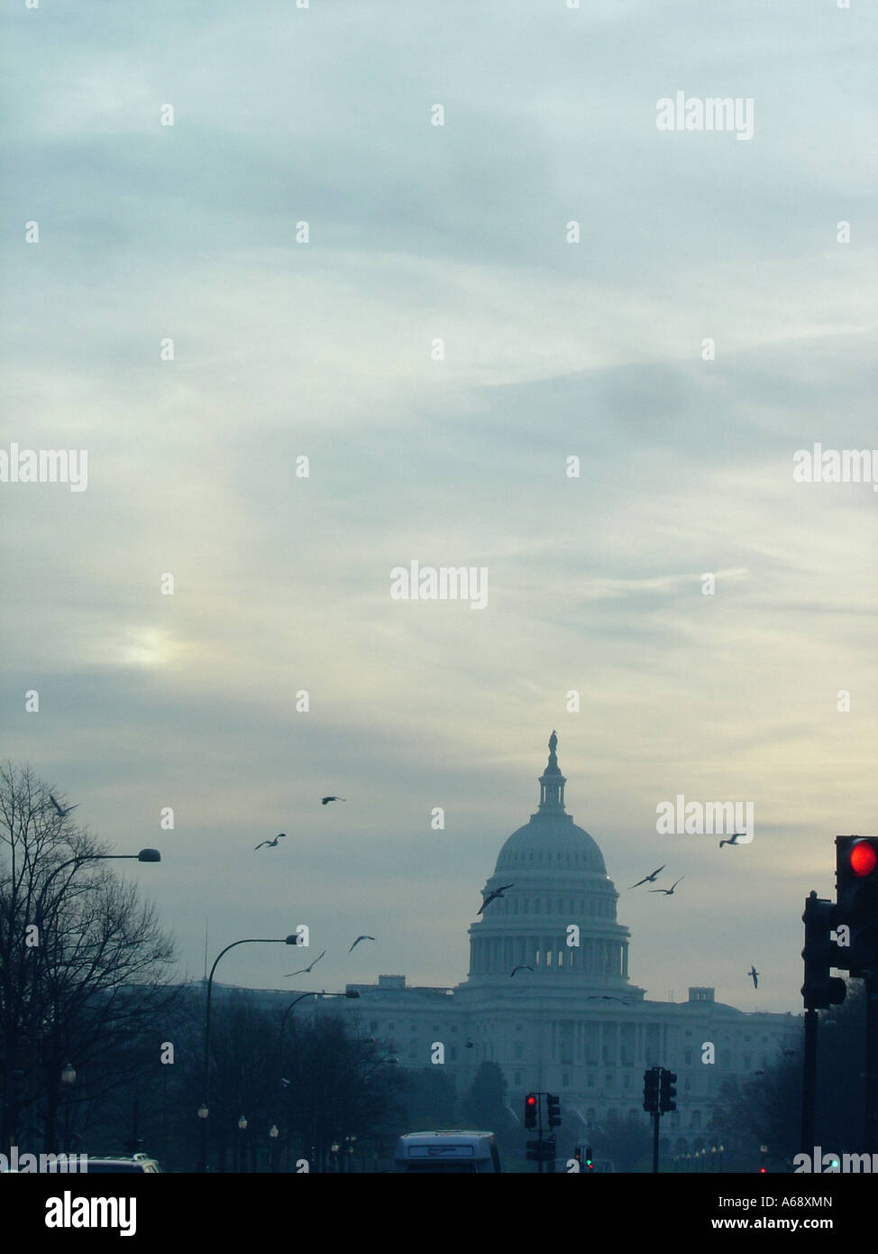 Early Morning Urban Scene of United States Capitol Building Washington ...