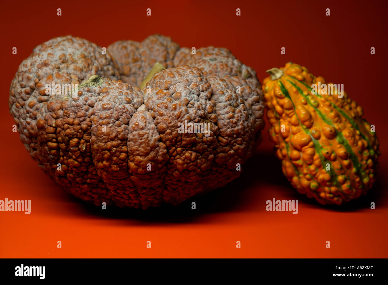 Melon and squash Stock Photo - Alamy