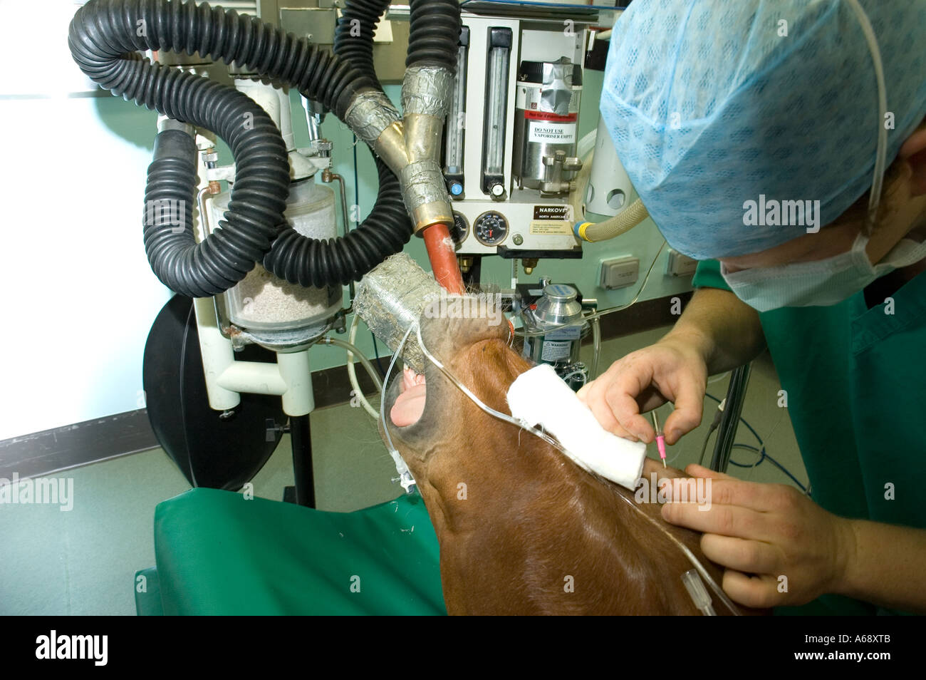 Hospital hoist hi-res stock photography and images - Alamy