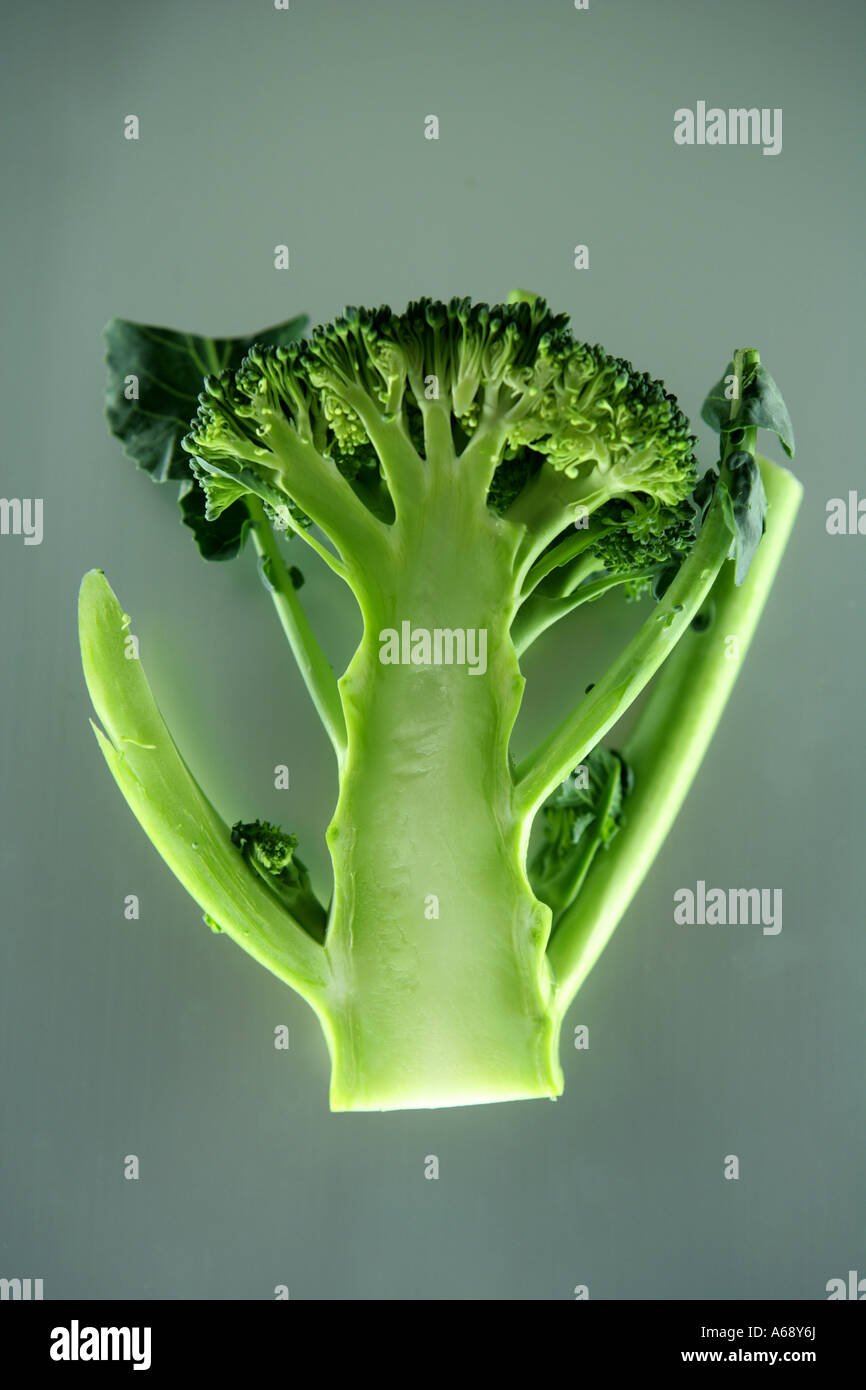 Broccoli cross section Stock Photo - Alamy