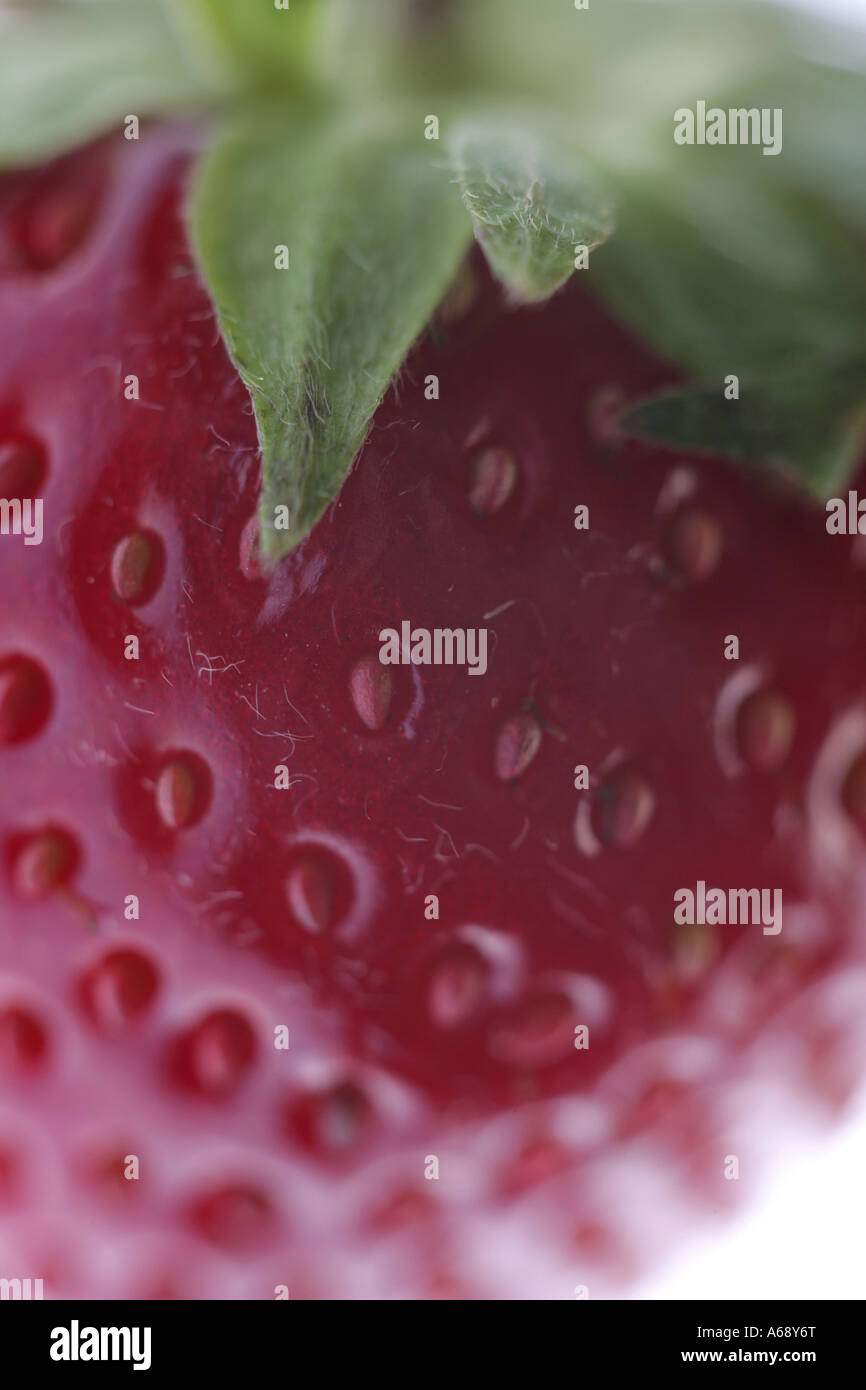 Strawberry close up Stock Photo - Alamy