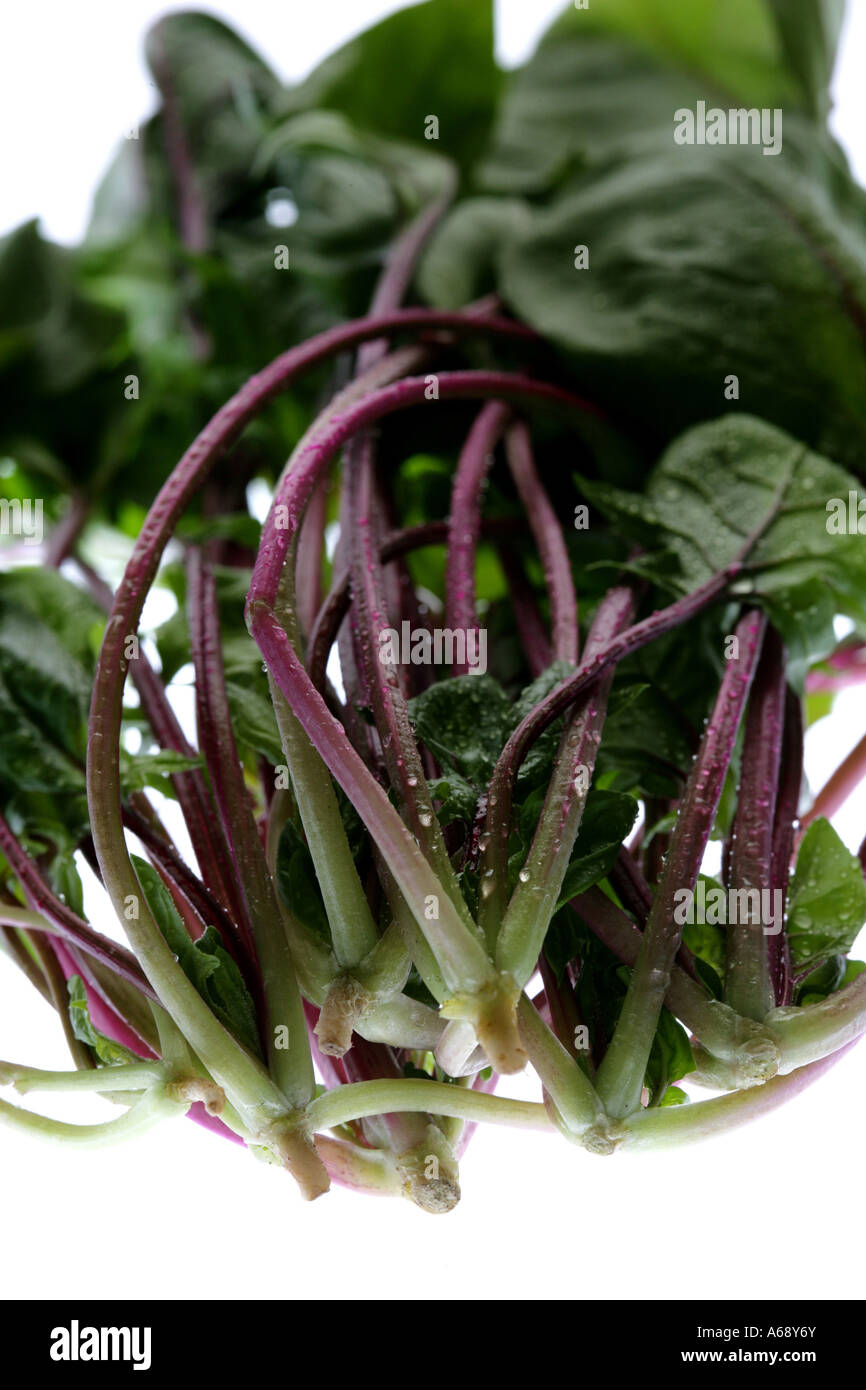 Vegetable close up Stock Photo - Alamy