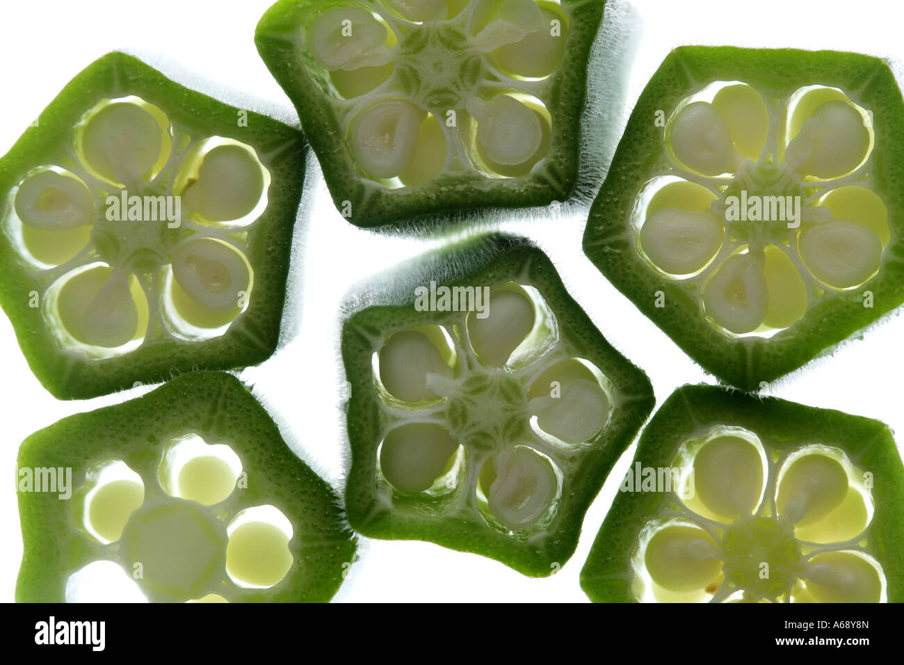 Okra cross section Stock Photo - Alamy