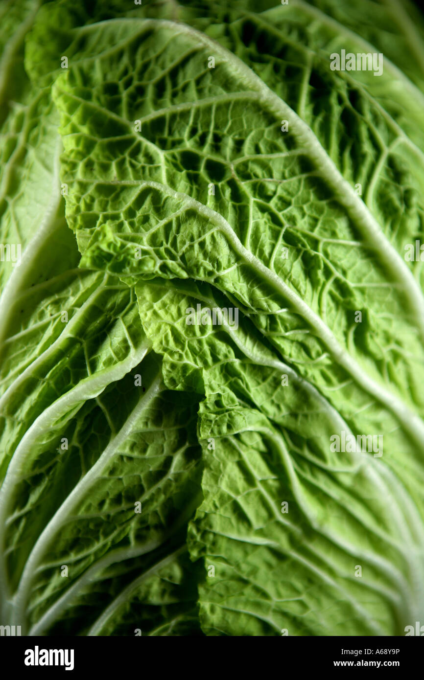 Cabbage close up Stock Photo - Alamy