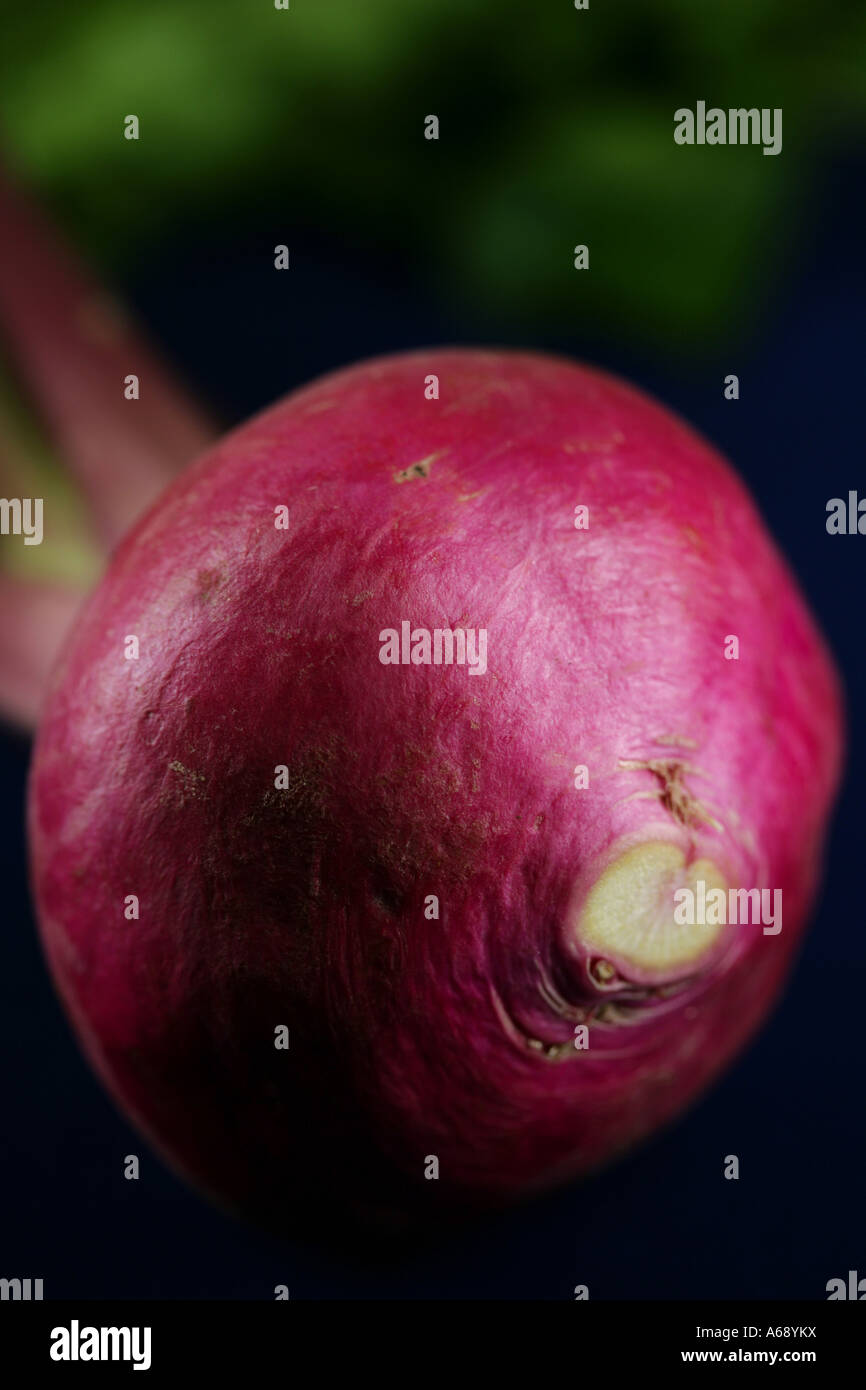 Turnip close up Stock Photo - Alamy