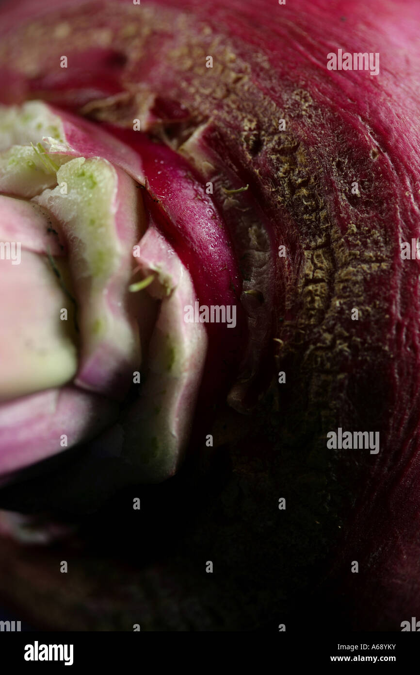 Turnip close up Stock Photo - Alamy