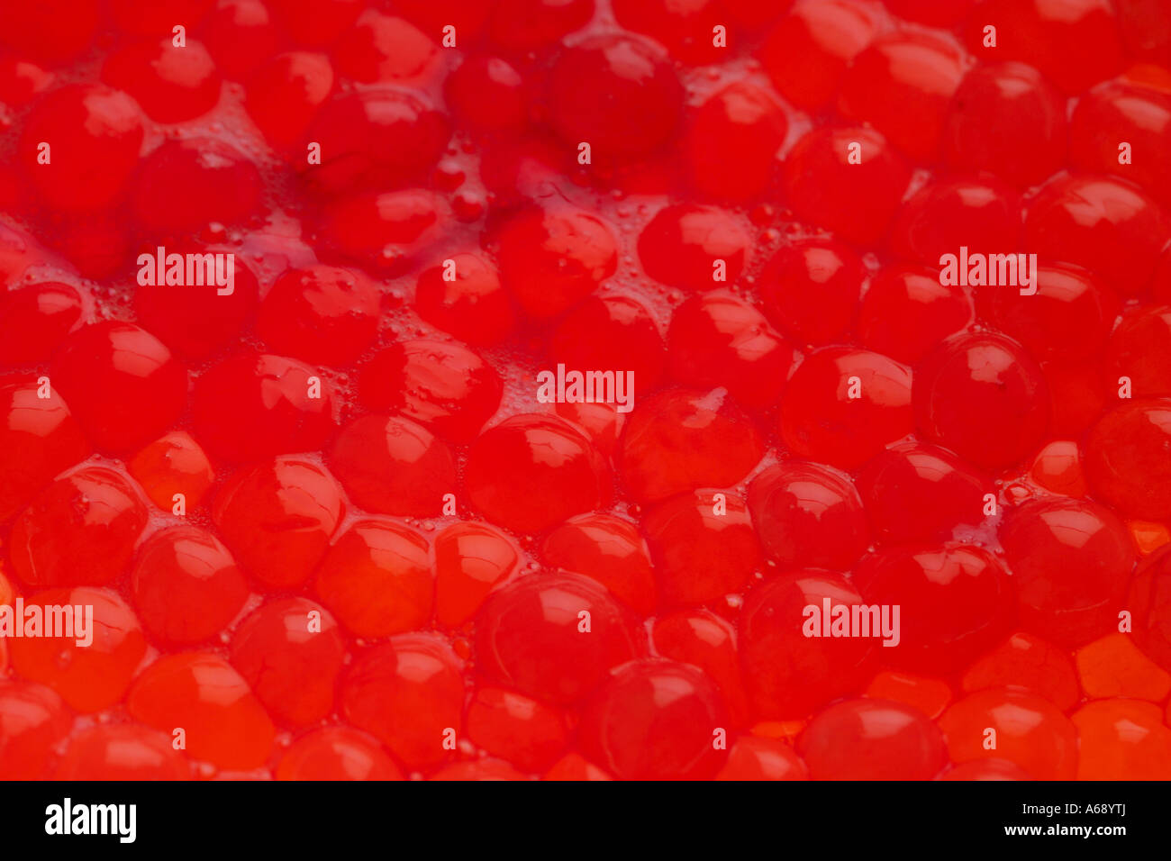 Fish roe close up Stock Photo - Alamy