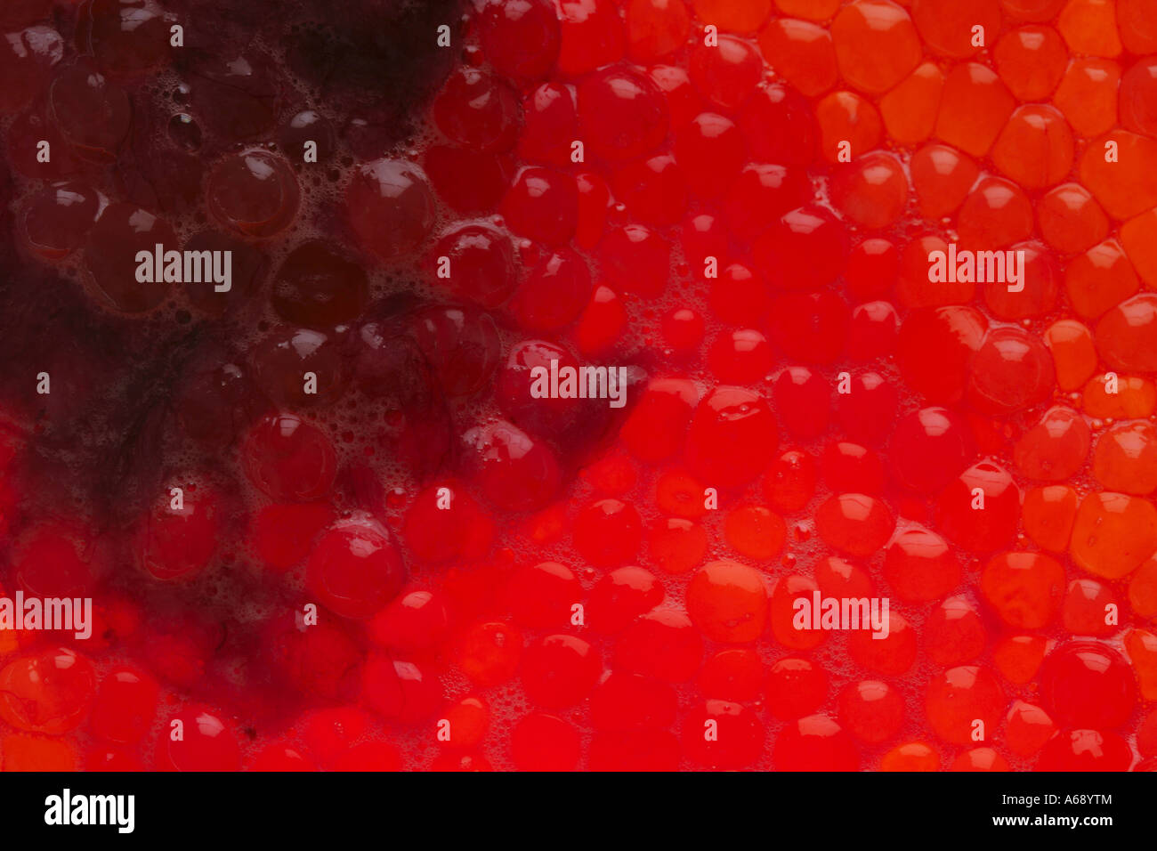 Fish roe close up Stock Photo - Alamy