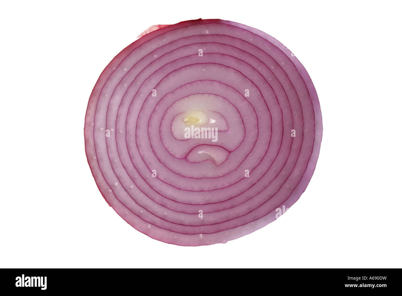 Onion cross section Stock Photo - Alamy