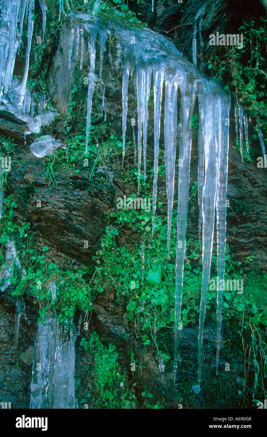 Vertical fresh water form forms winter hi-res stock photography and ...