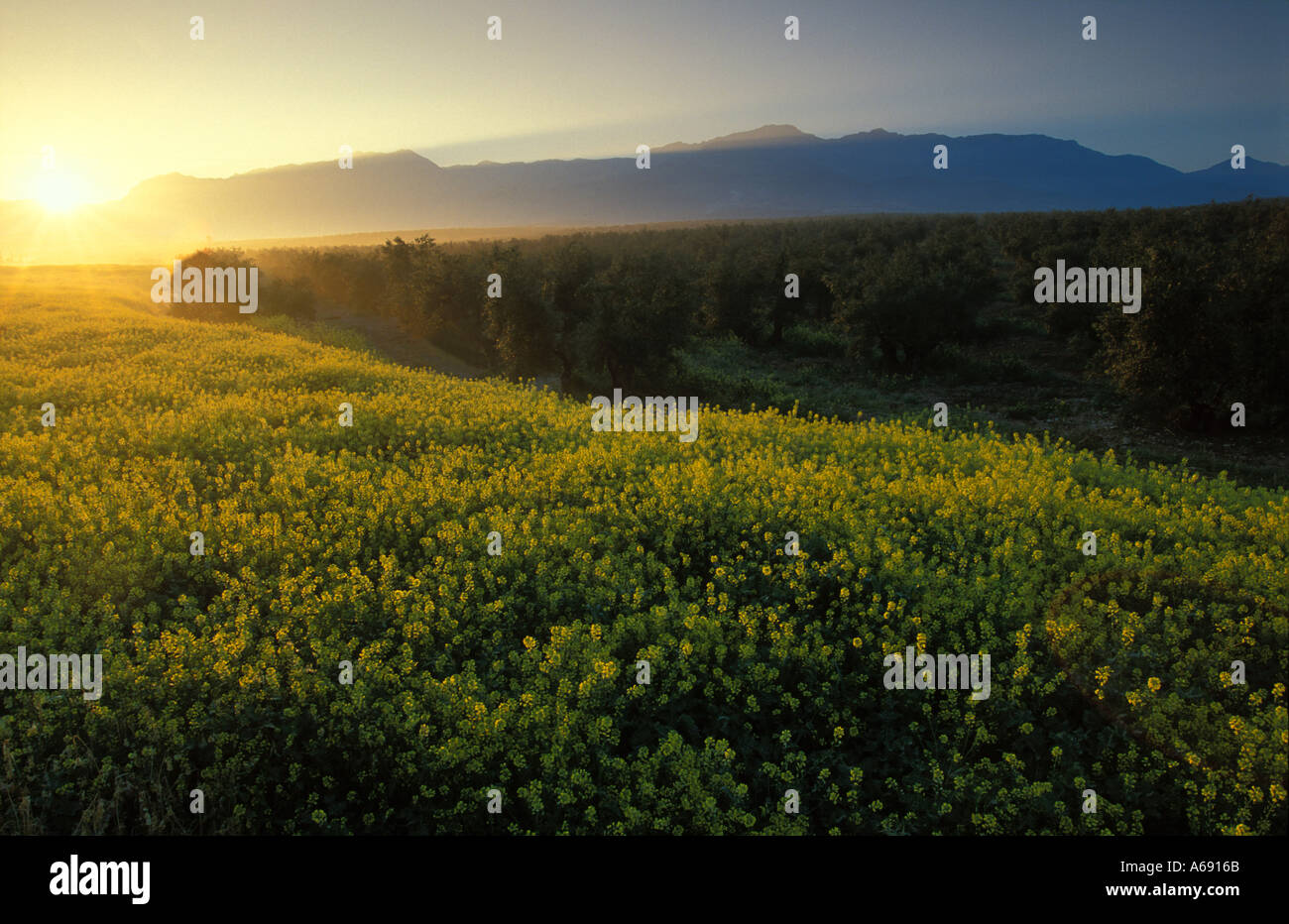 The sierra de cazorla hi-res stock photography and images - Alamy