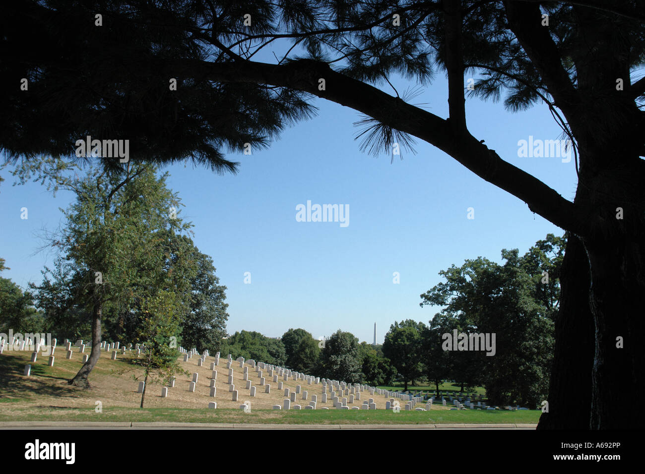 Arlington National Cemetery in Washington DC USA Copy Space Stock Photo ...