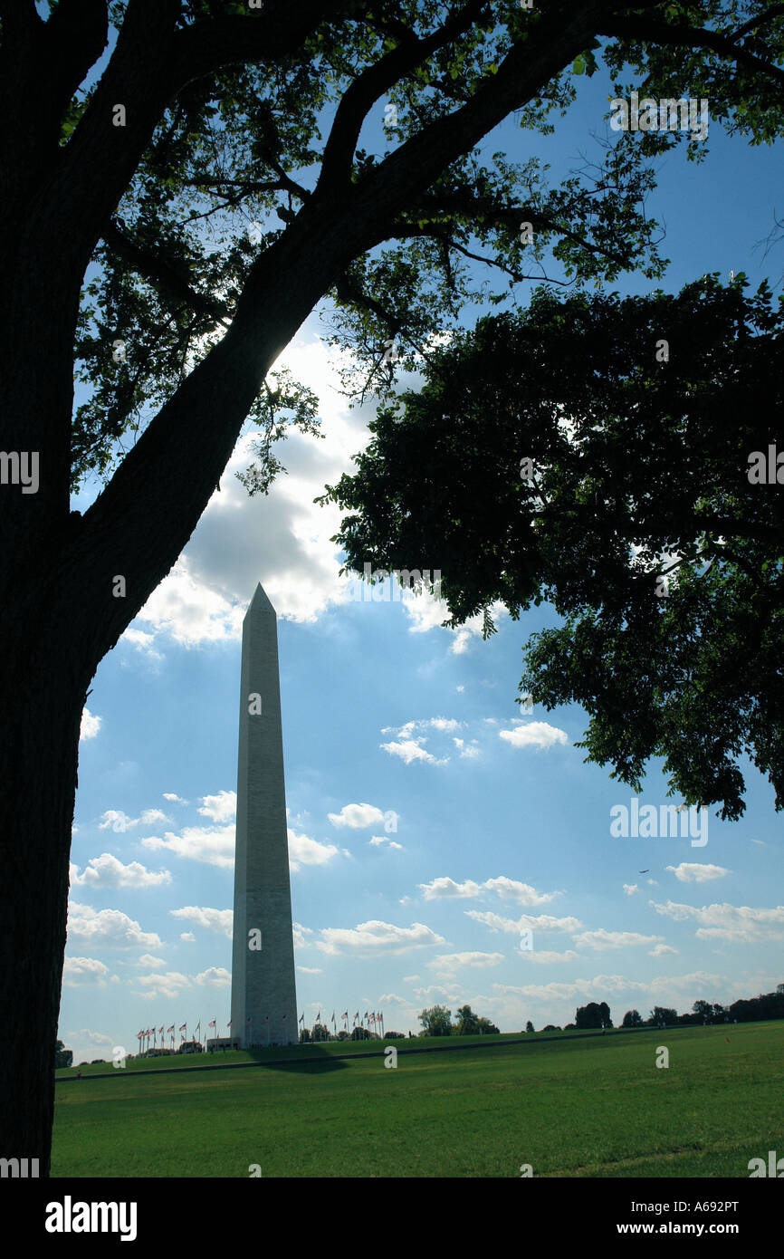 Wide View of the Silhouette of The Washington Monument and Trees ...